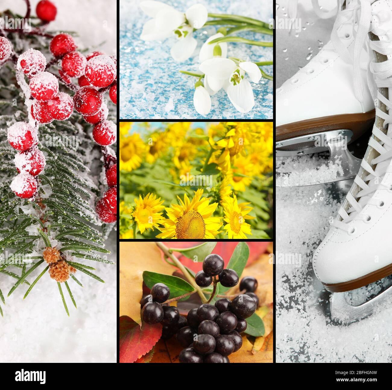 Four seasons collage Stock Photo - Alamy