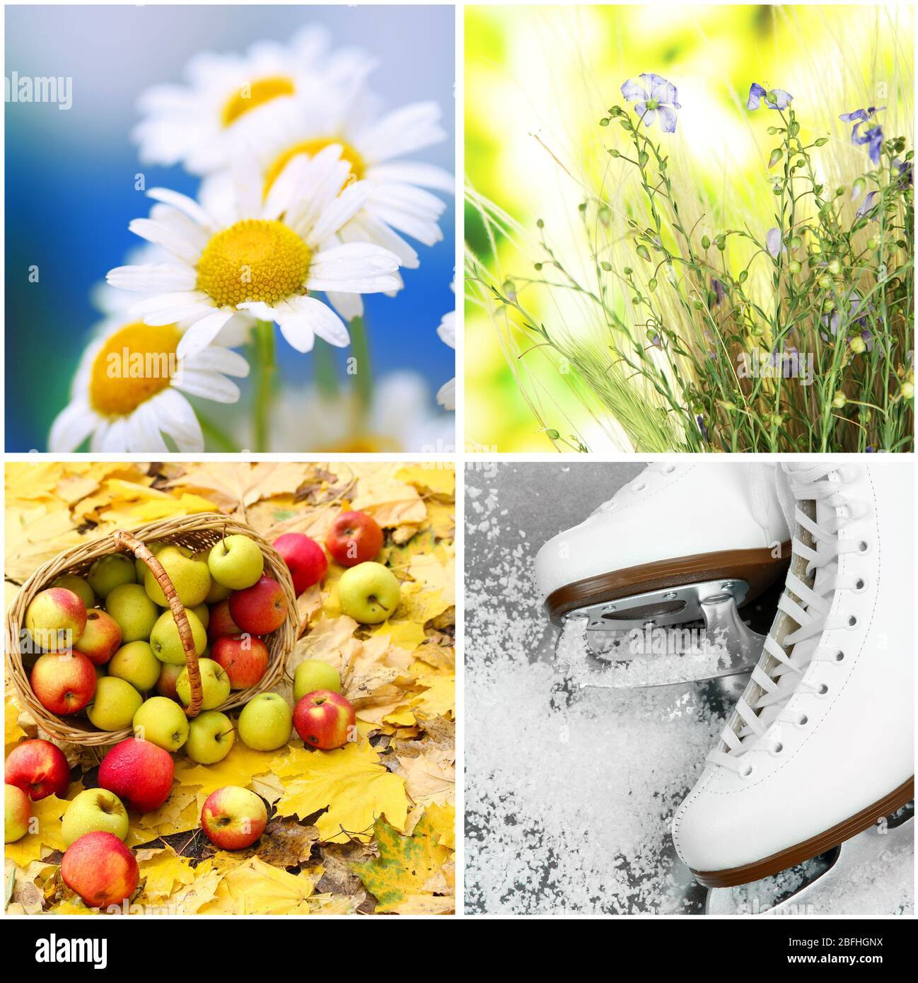 Seasons collage hi-res stock photography and images - Alamy