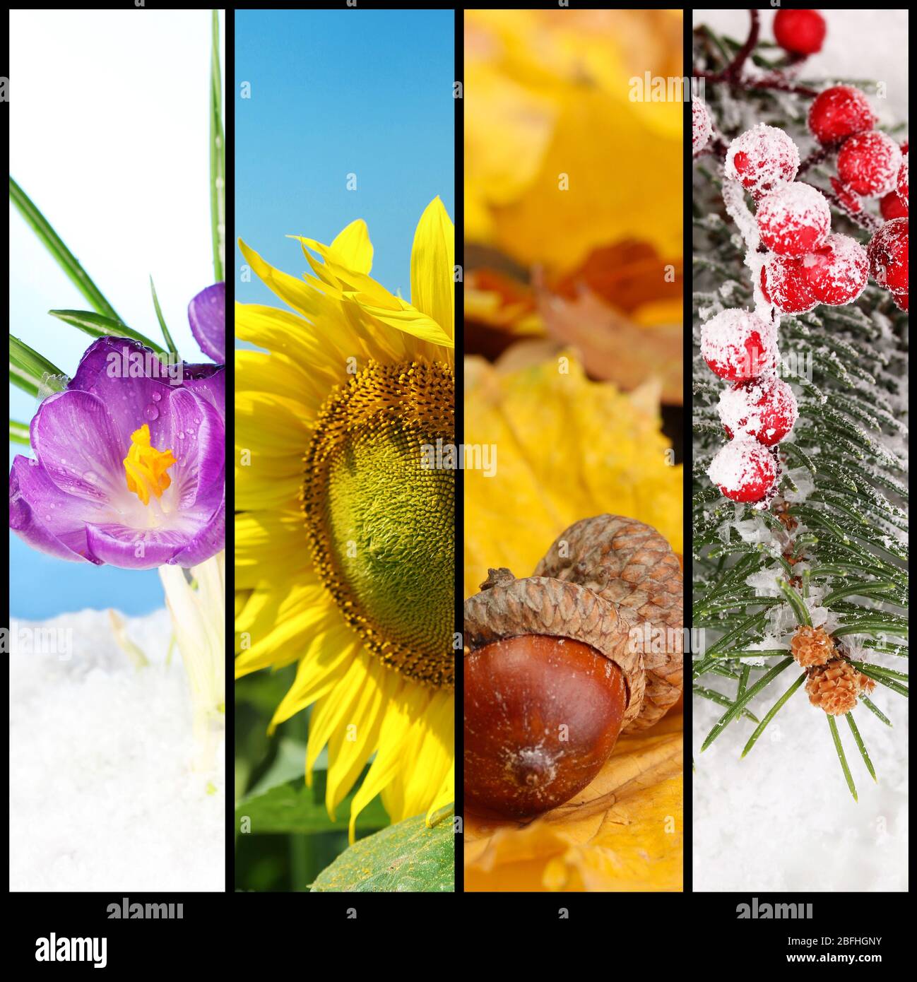 Four seasons collage Stock Photo - Alamy