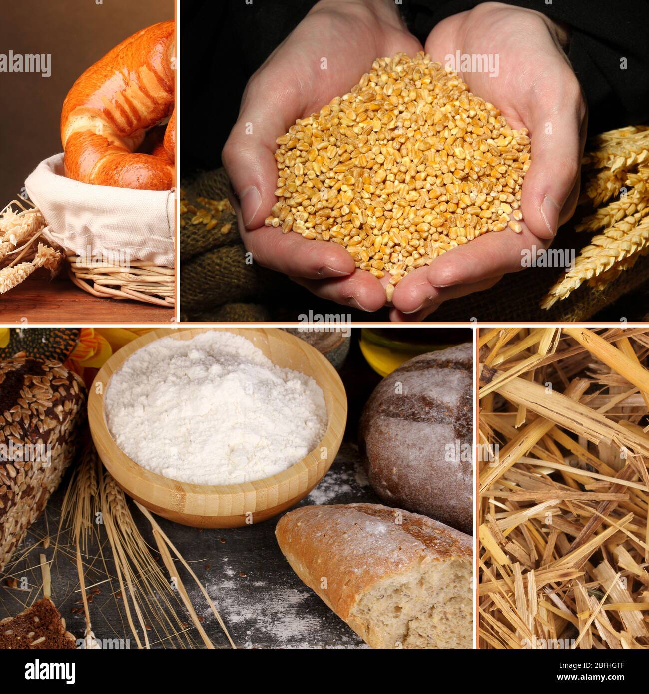 Bread and harvesting wheat collage Stock Photo - Alamy