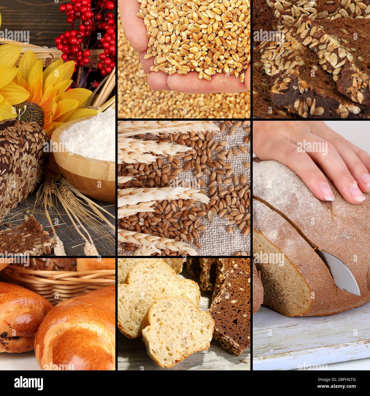 Bread and harvesting wheat collage Stock Photo - Alamy