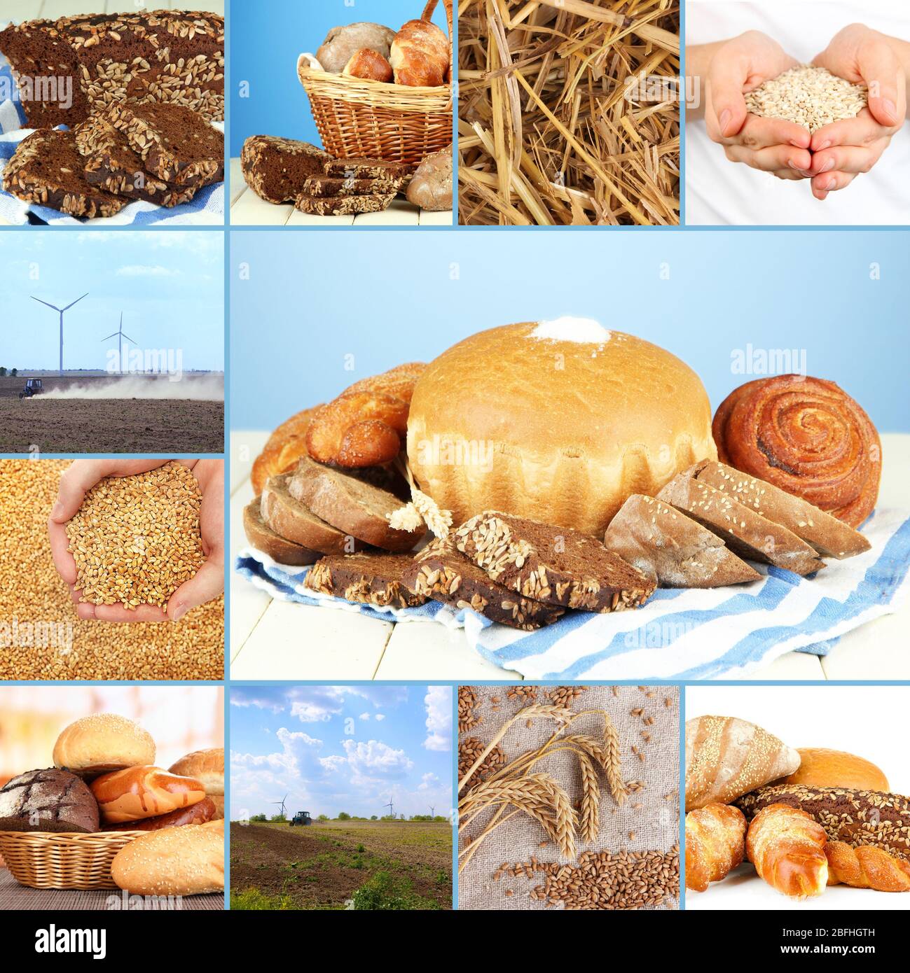 Bread and harvesting wheat collage Stock Photo - Alamy