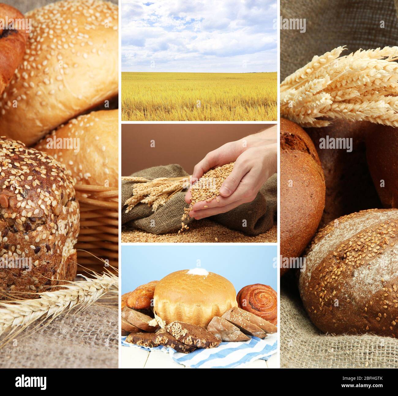 Bread and harvesting wheat collage Stock Photo - Alamy
