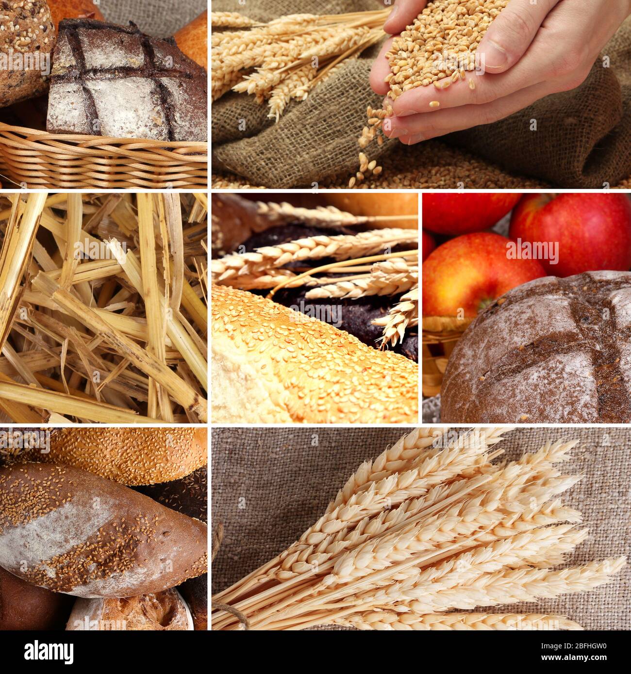 Bread and harvesting wheat collage Stock Photo - Alamy