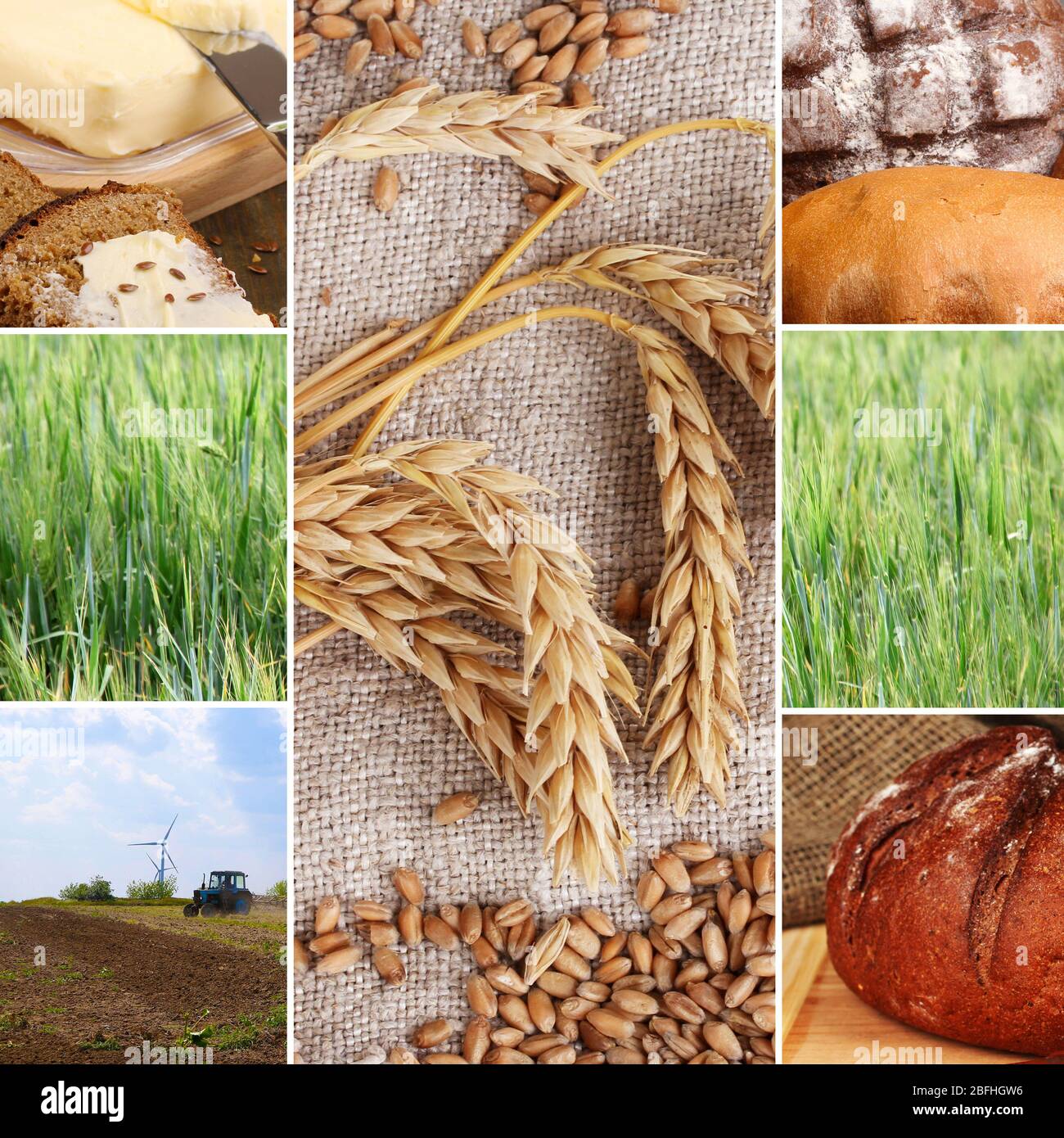 Bread and harvesting wheat collage Stock Photo - Alamy