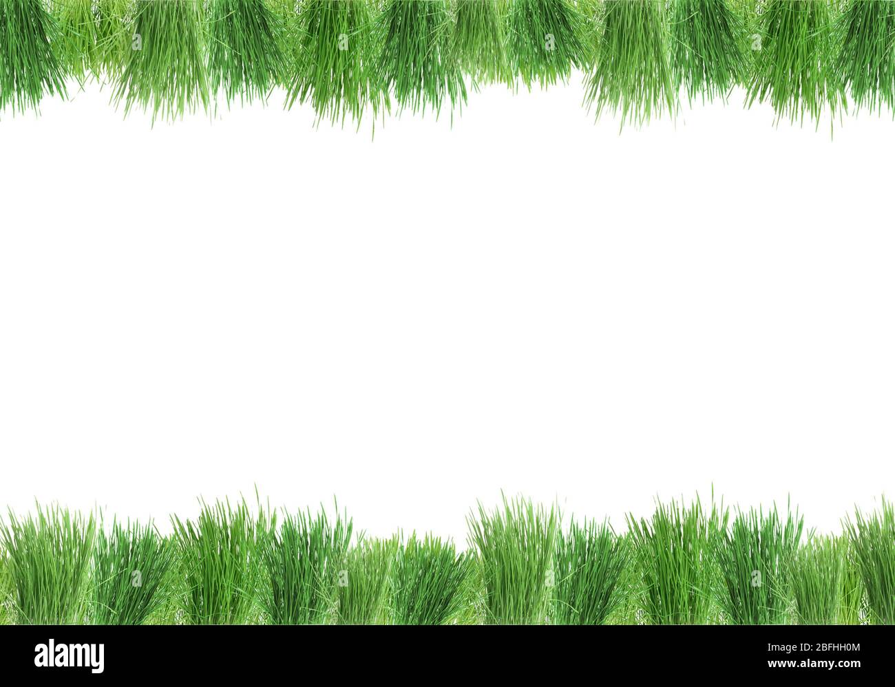 Collage of green grass isolated on white Stock Photo - Alamy