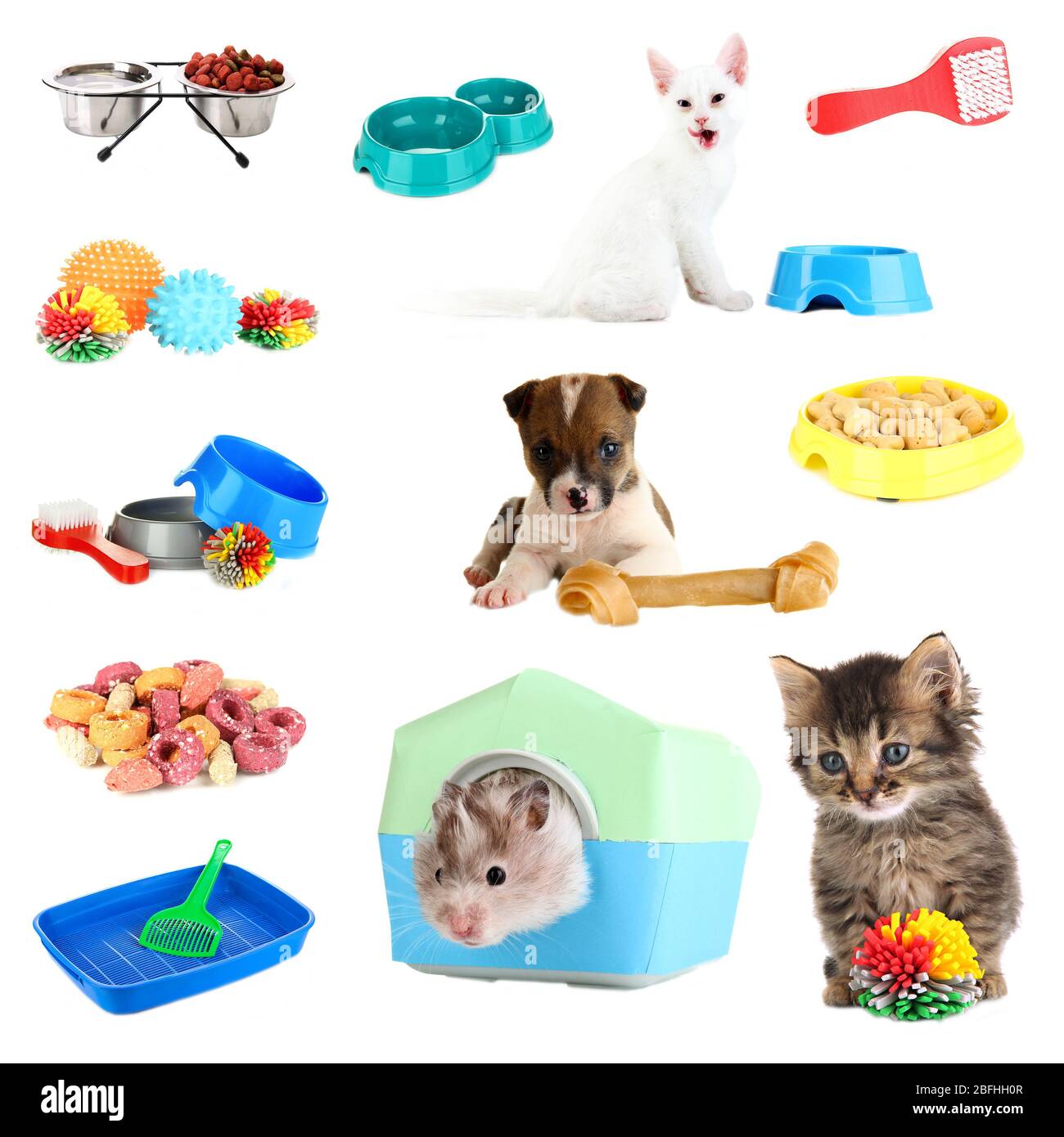 Different Animals Collage High Resolution Stock Photography and Images ...