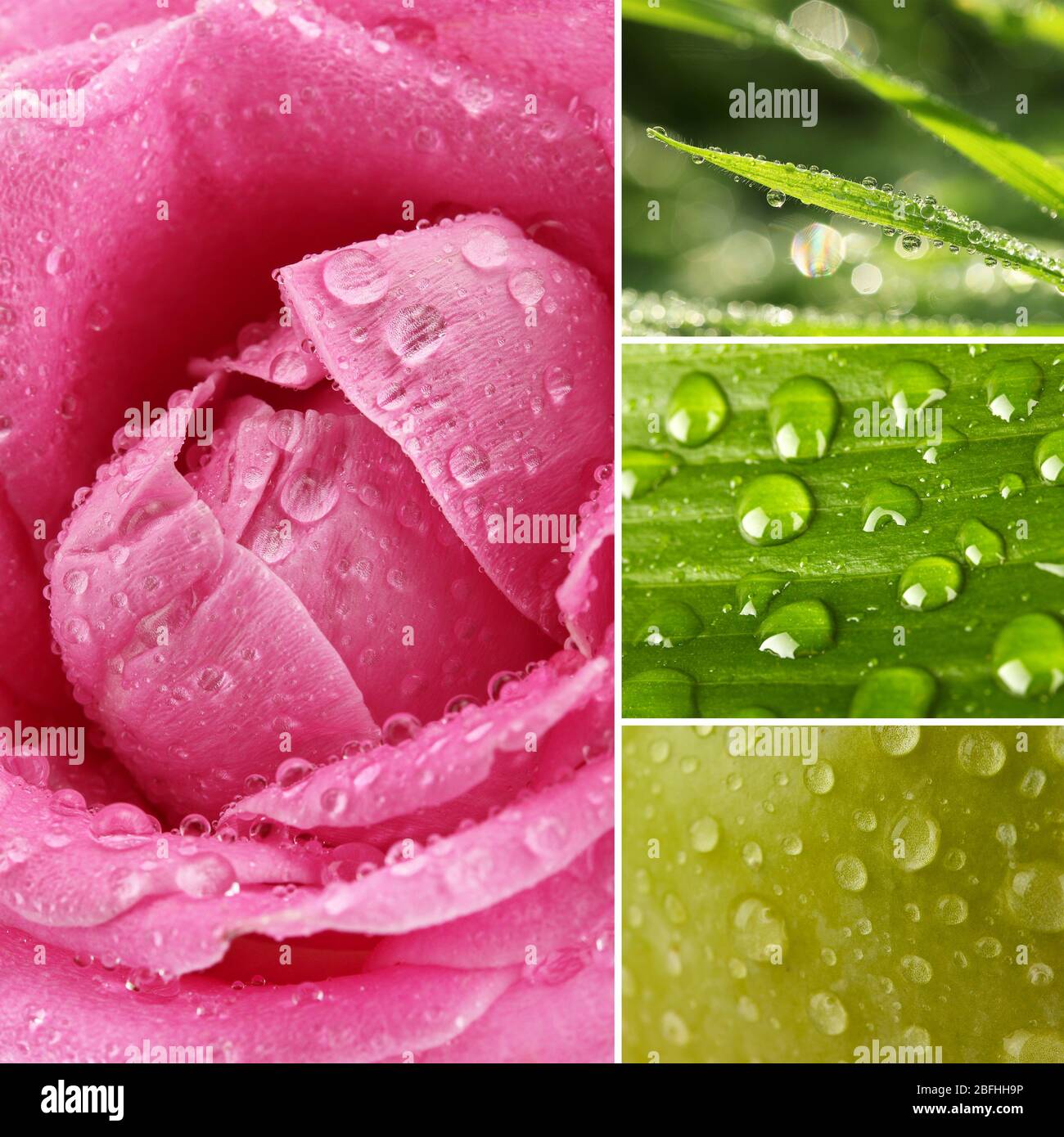 Beautiful nature collage Stock Photo - Alamy