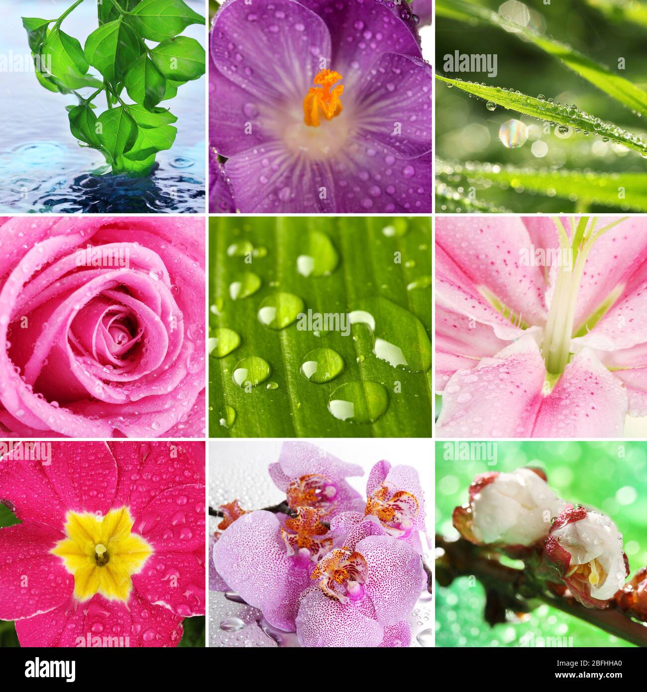 Beautiful nature collage Stock Photo - Alamy