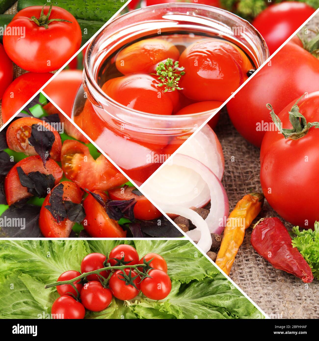 Collage of tomatoes Stock Photo - Alamy
