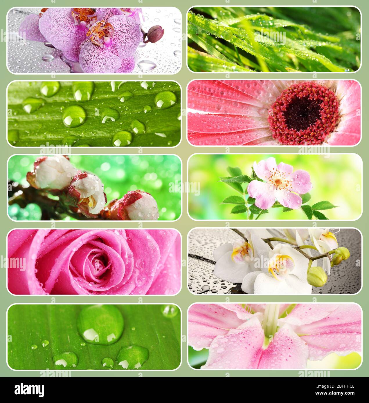 Beautiful nature collage Stock Photo - Alamy