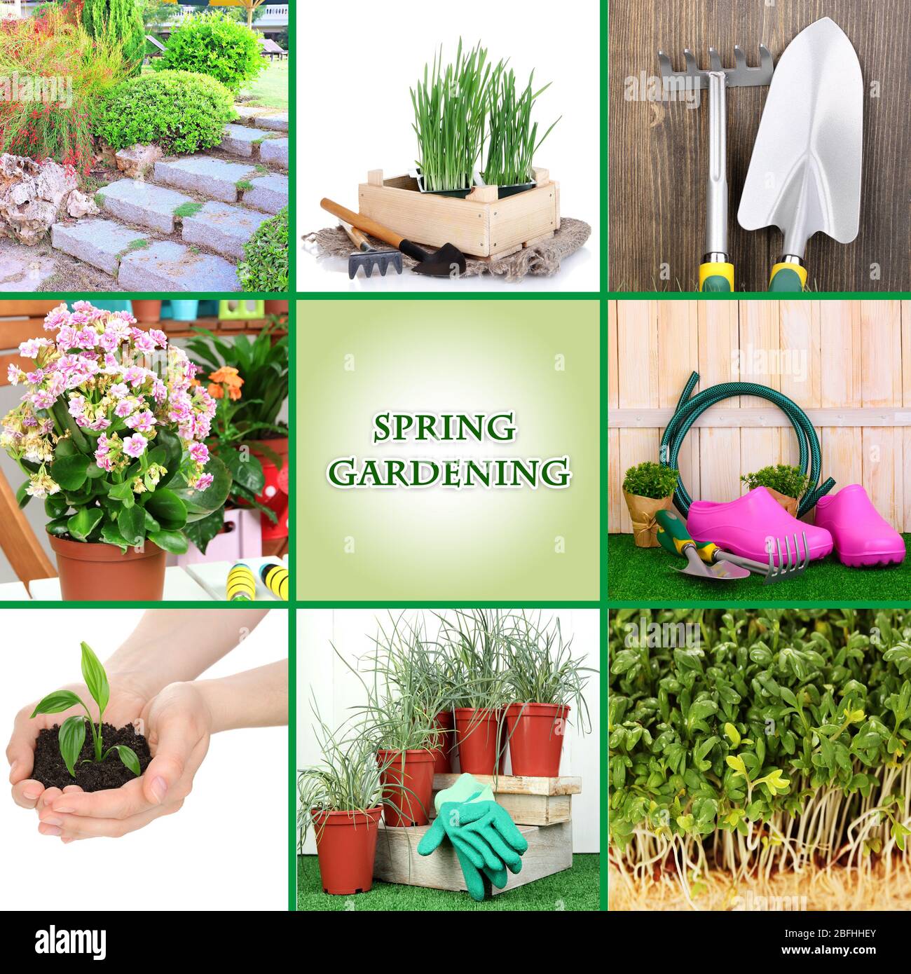 Collage of gardening theme Stock Photo - Alamy