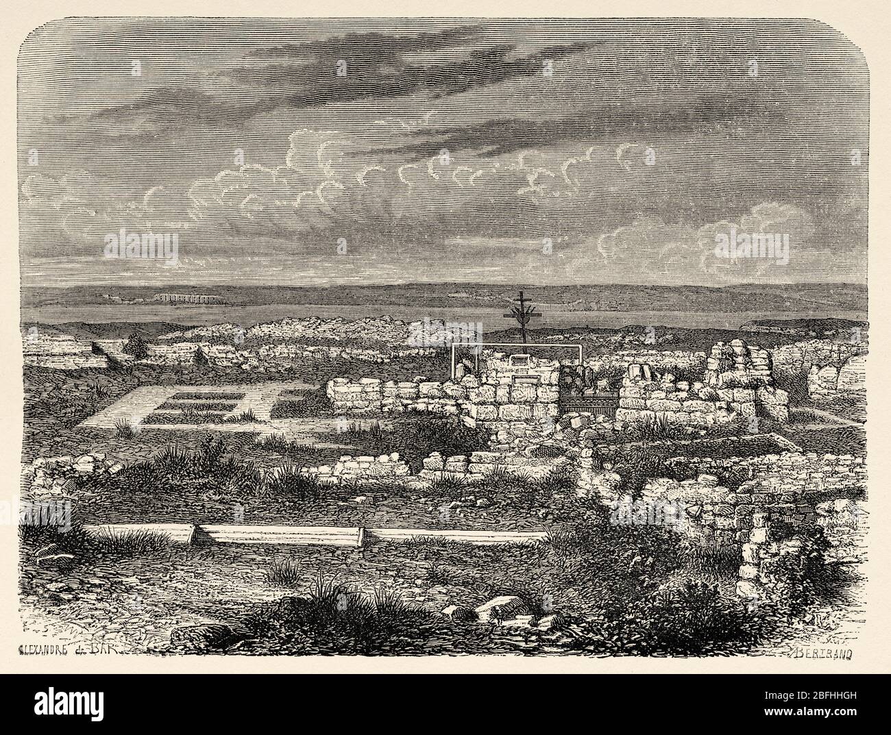 Heraclea pontica hi-res stock photography and images - Alamy