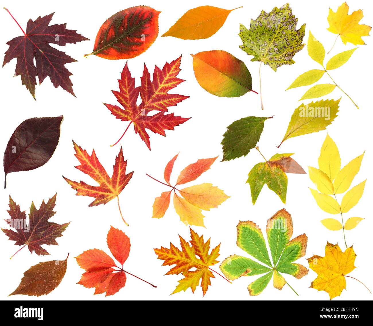 Yellow candle on the autumn leaves Cut Out Stock Images & Pictures - Alamy