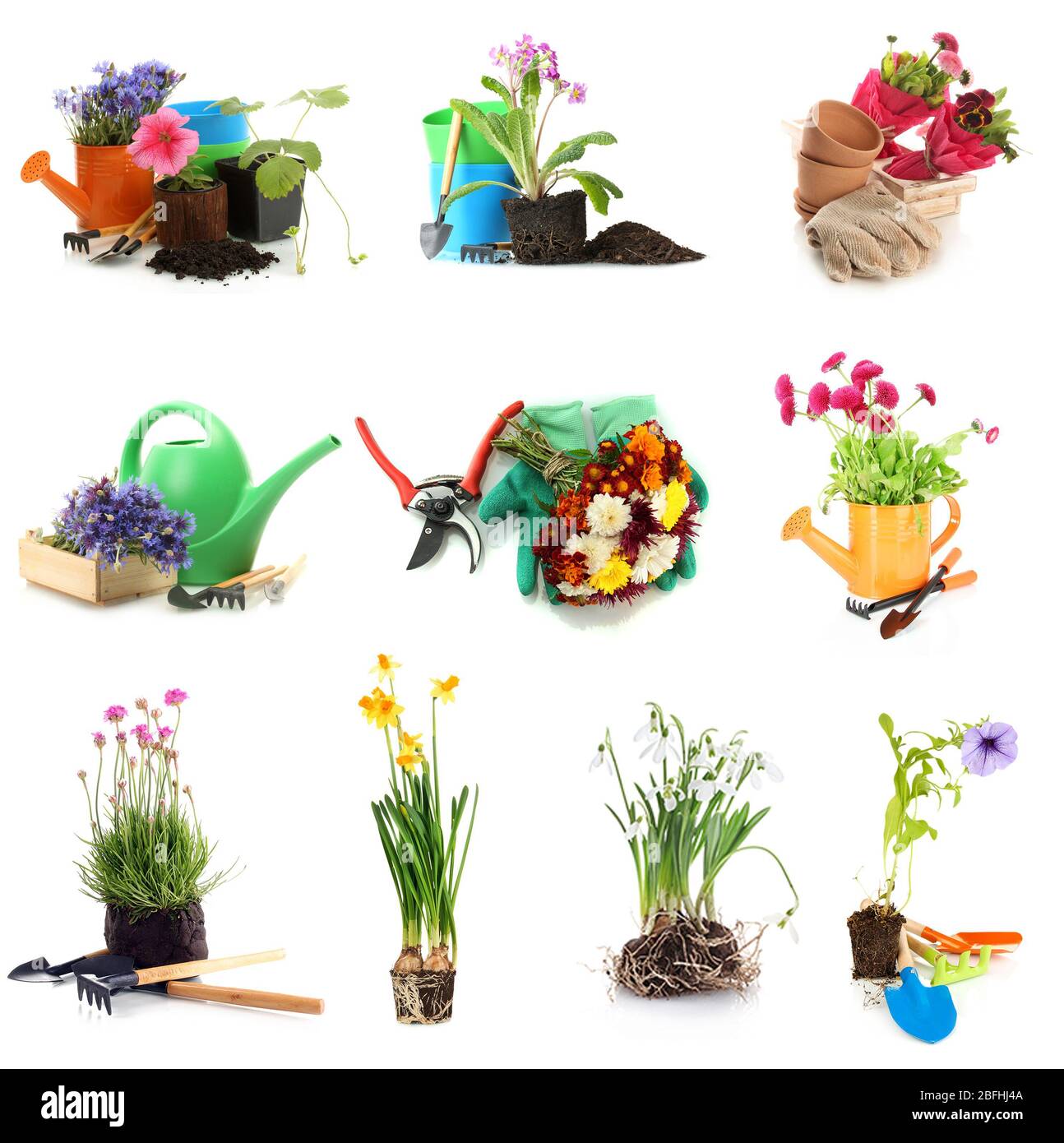 Watering bottles roots Cut Out Stock Images & Pictures - Alamy