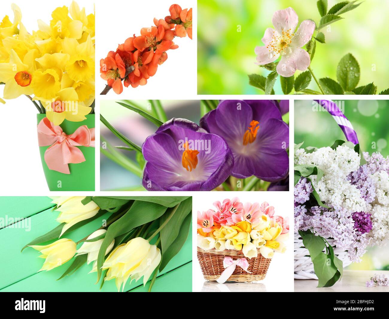 Spring flowers collage Stock Photo - Alamy