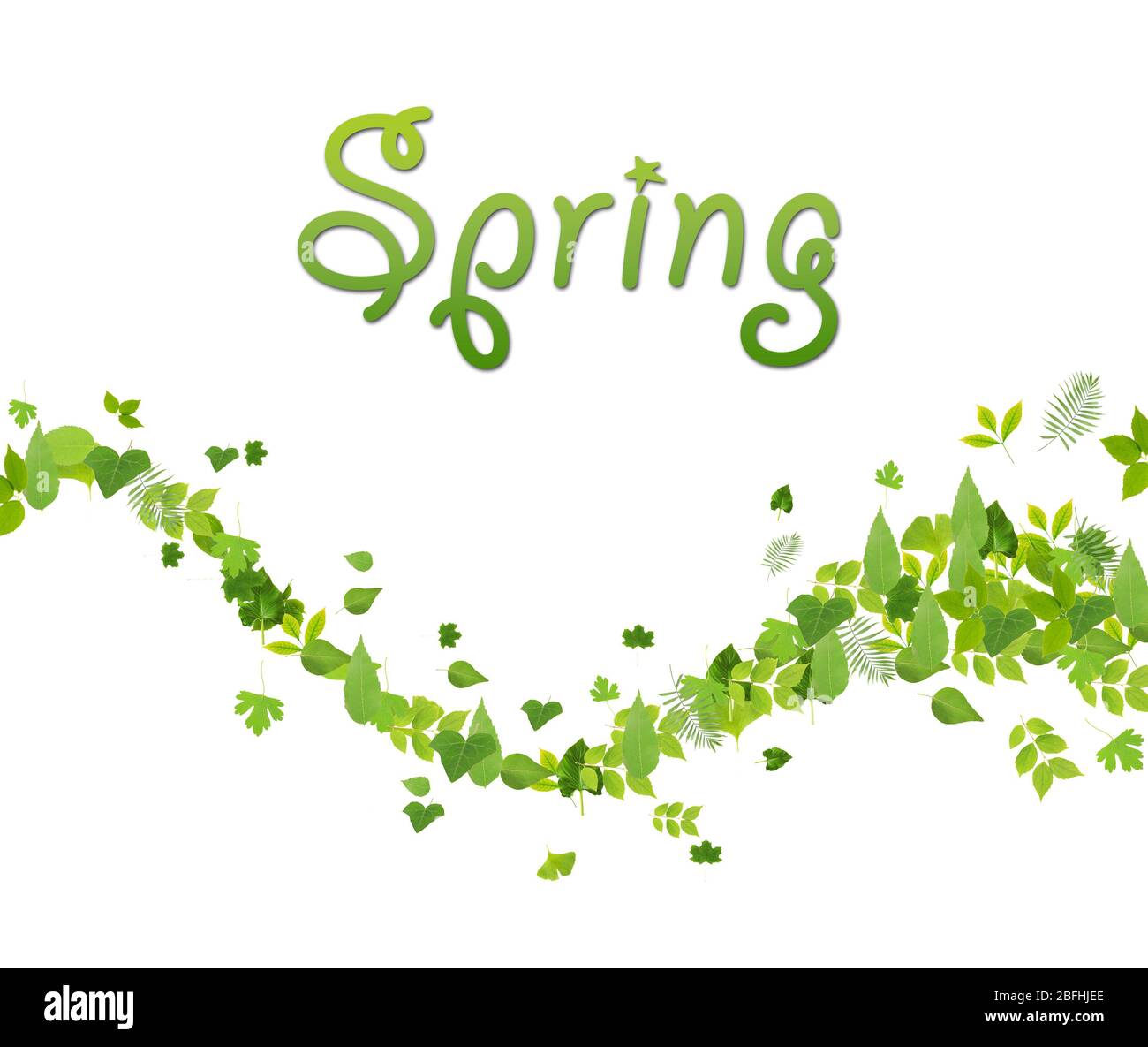 Spring green leaves isolated on white Stock Photo - Alamy