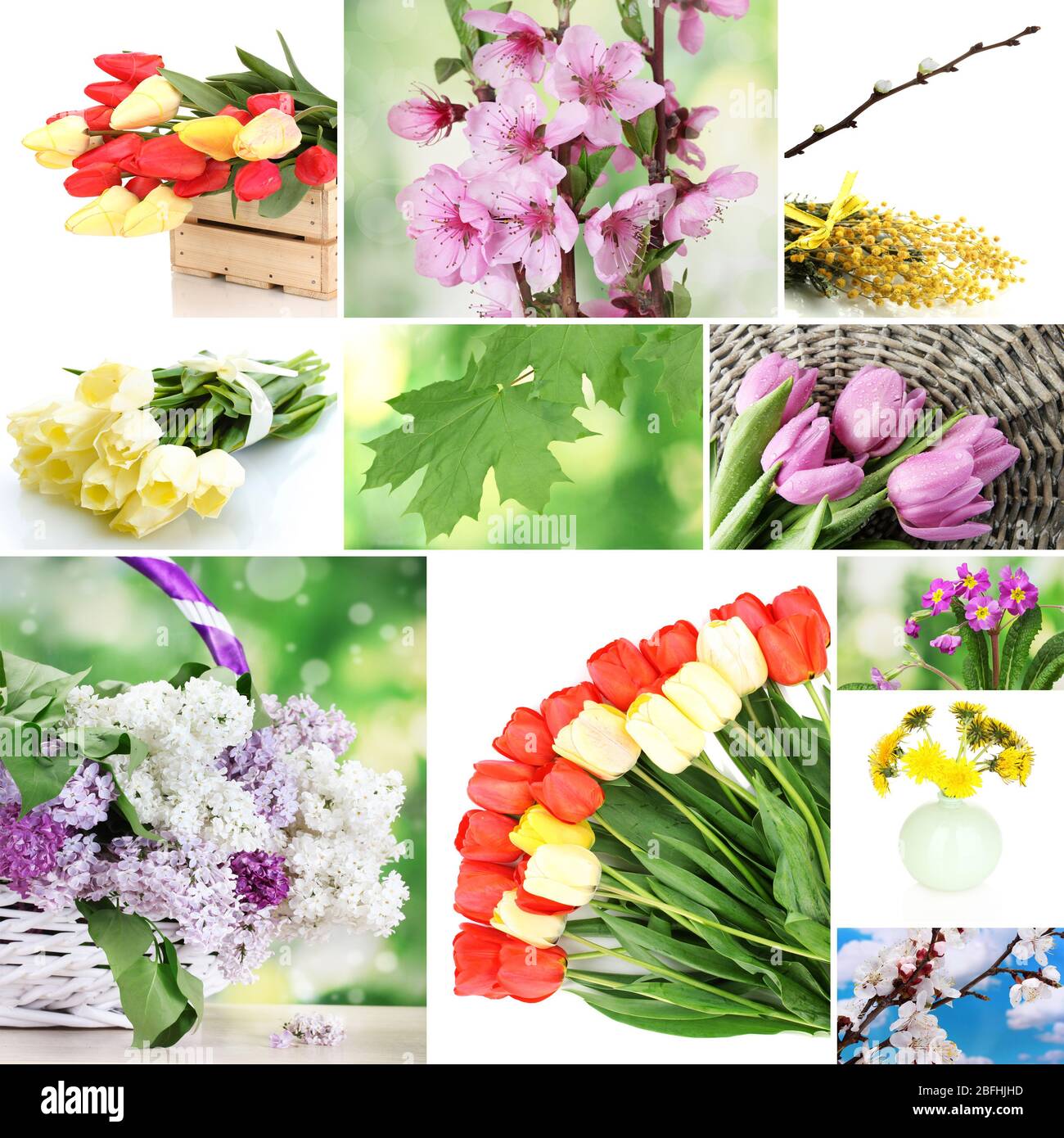 Spring flowers collage Stock Photo - Alamy