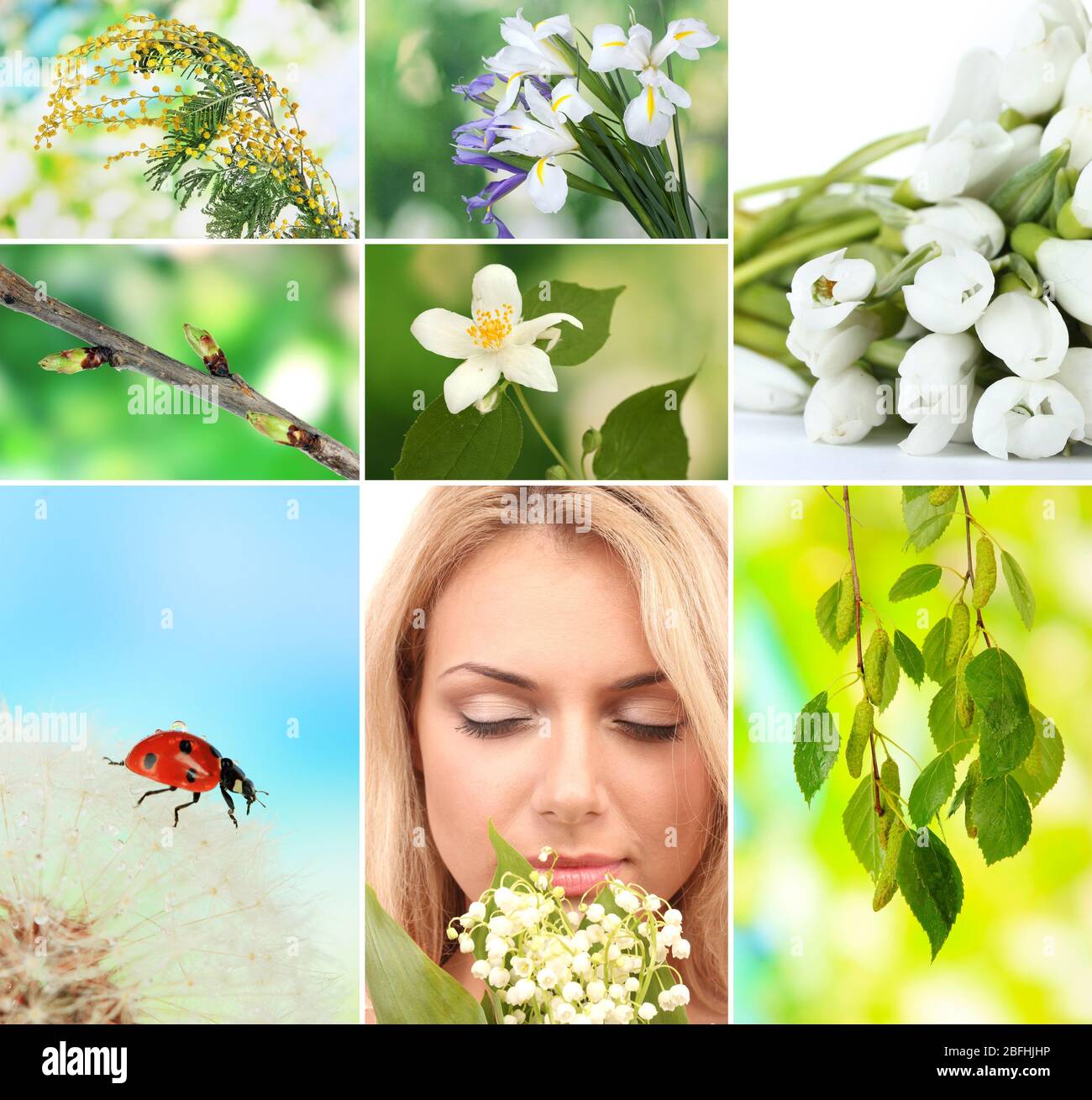 Spring flowers collage Stock Photo - Alamy