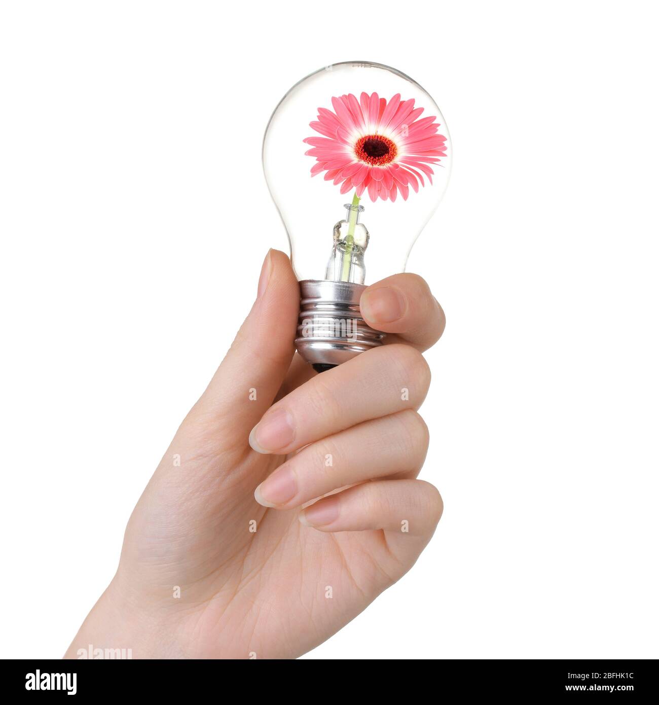 Flower growing inside light bulb isolated on white Stock Photo - Alamy