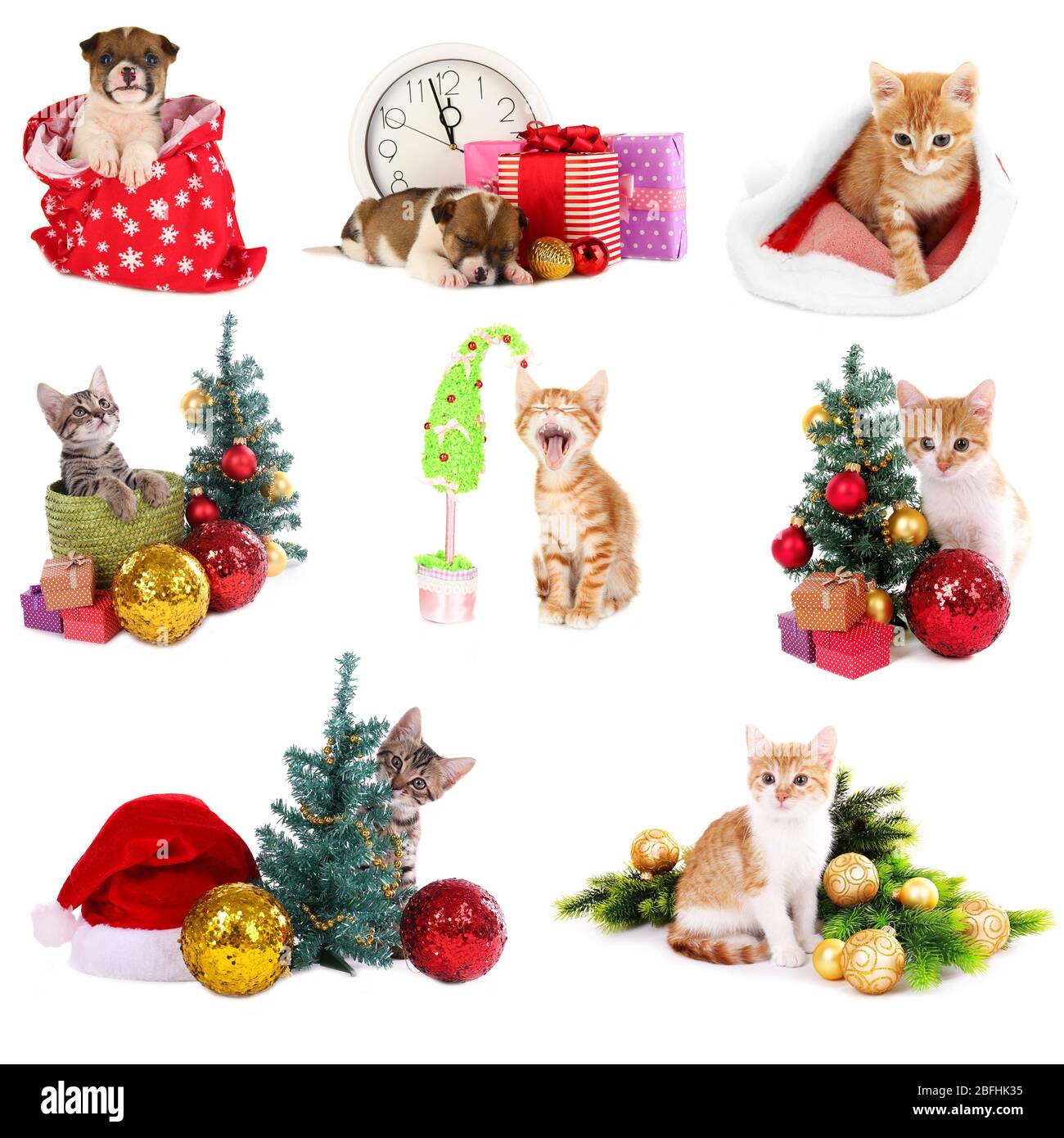 Tree different animals Cut Out Stock Images & Pictures - Alamy