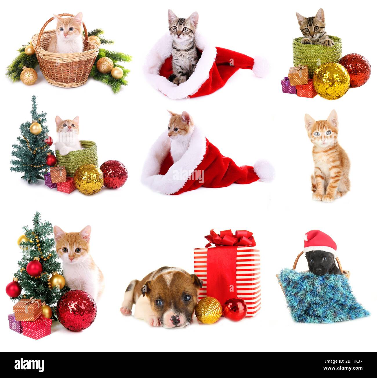 Cute Baby Animals Christmas Tree High Resolution Stock Photography and ...
