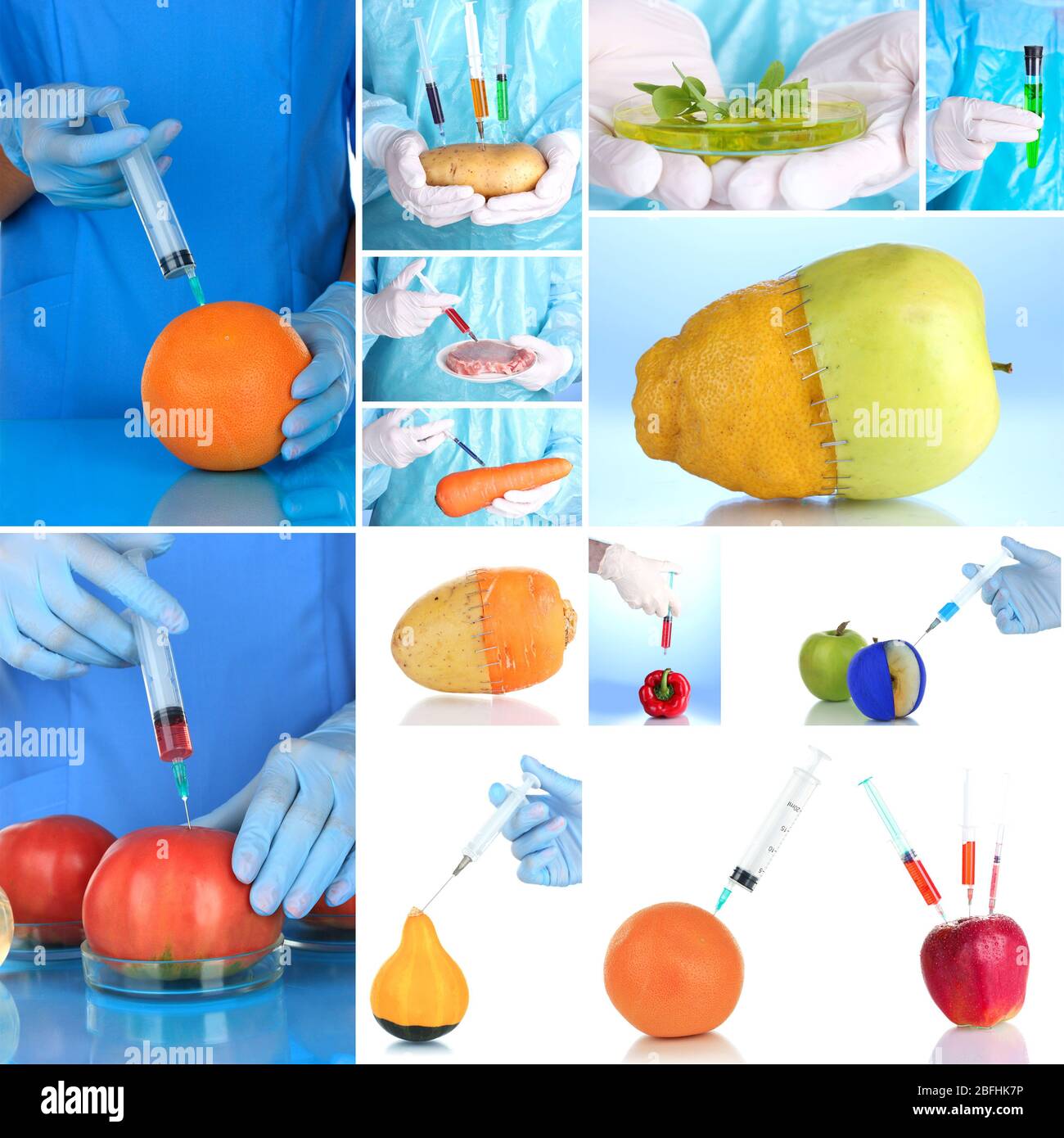 Genetic engineering laboratory. GMO food concept Stock Photo - Alamy