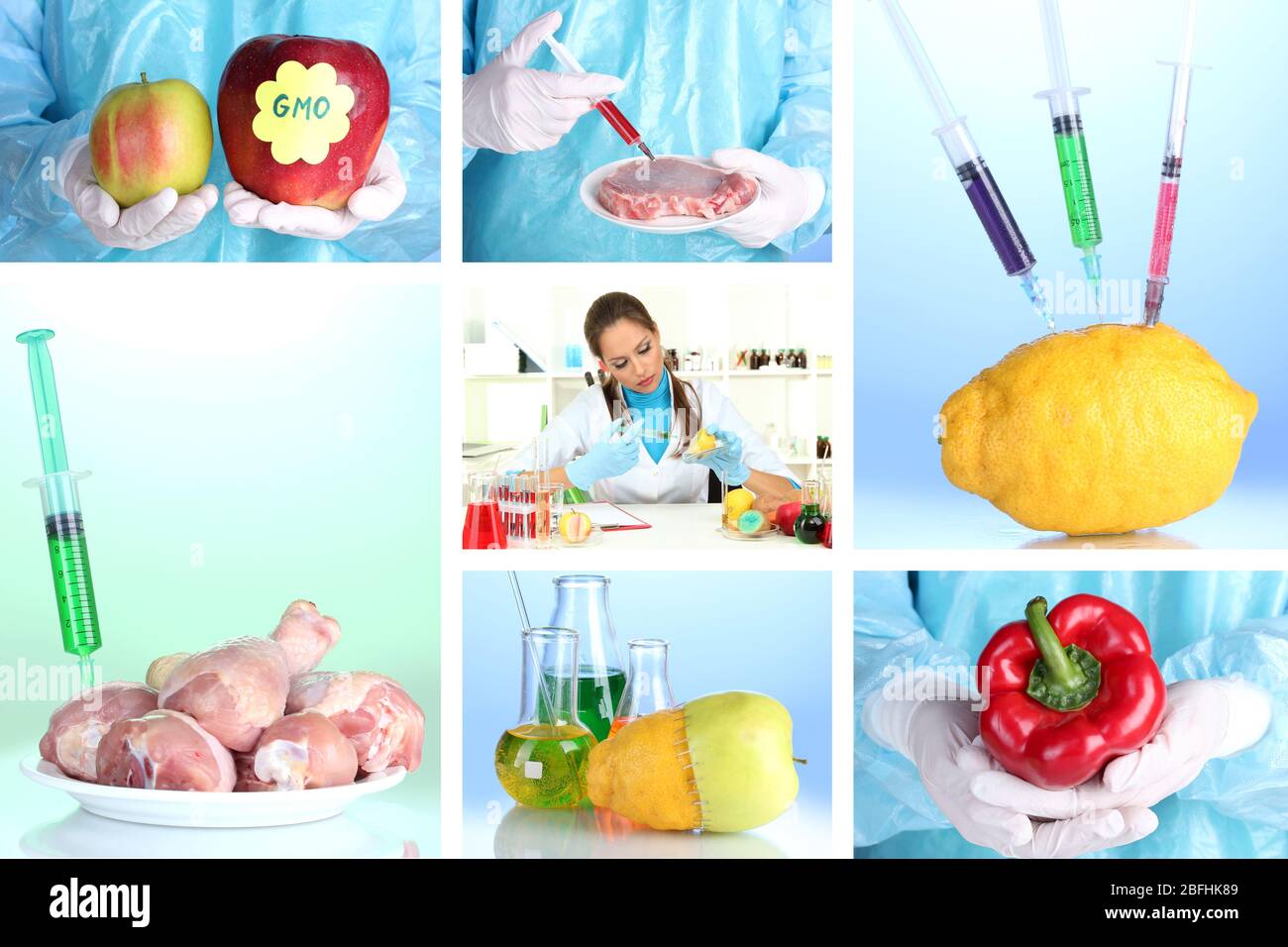 Genetic engineering laboratory. GMO food concept Stock Photo - Alamy