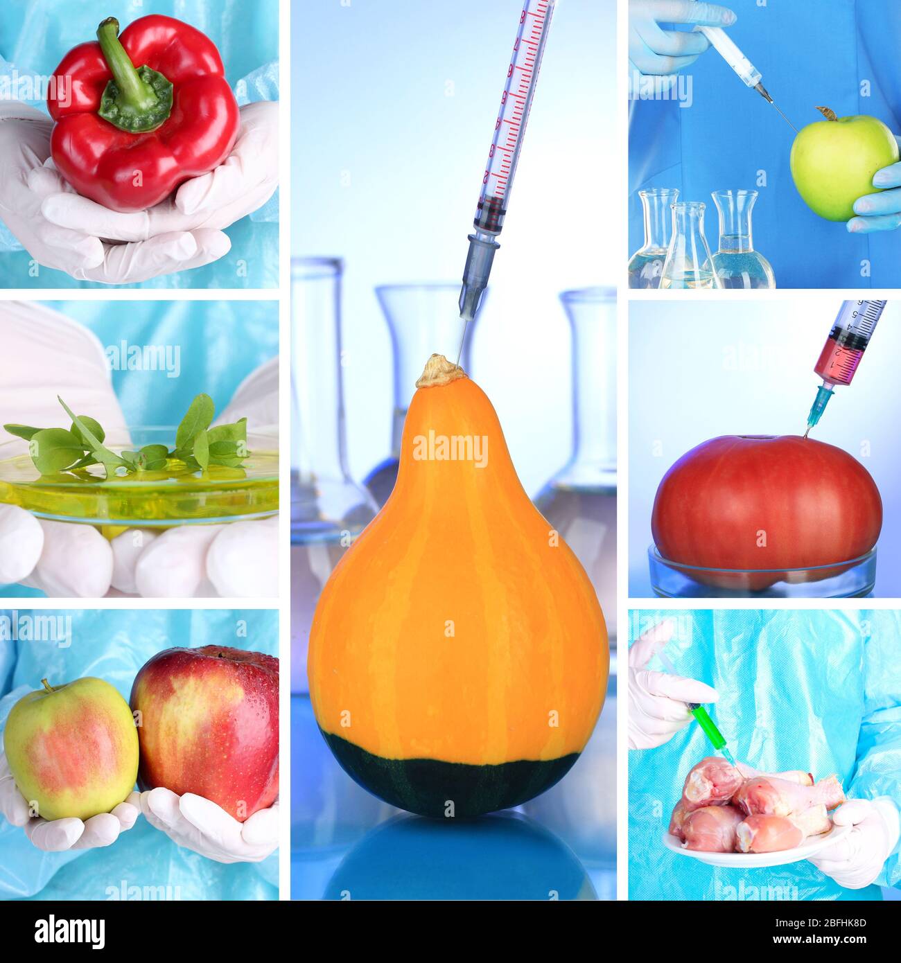Genetic engineering laboratory. GMO food concept Stock Photo - Alamy