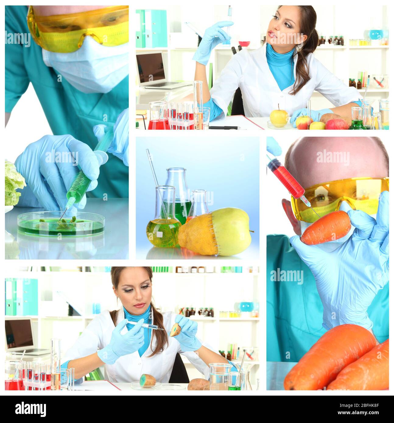 Genetic engineering laboratory. GMO food concept Stock Photo - Alamy