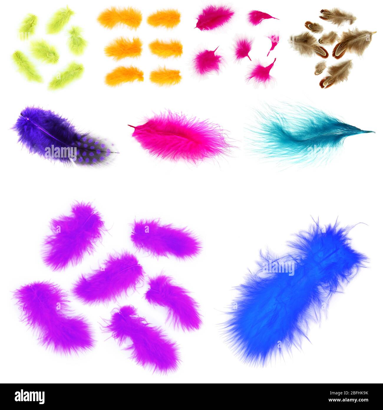 Collage of colorful feathers isolated on white Stock Photo - Alamy