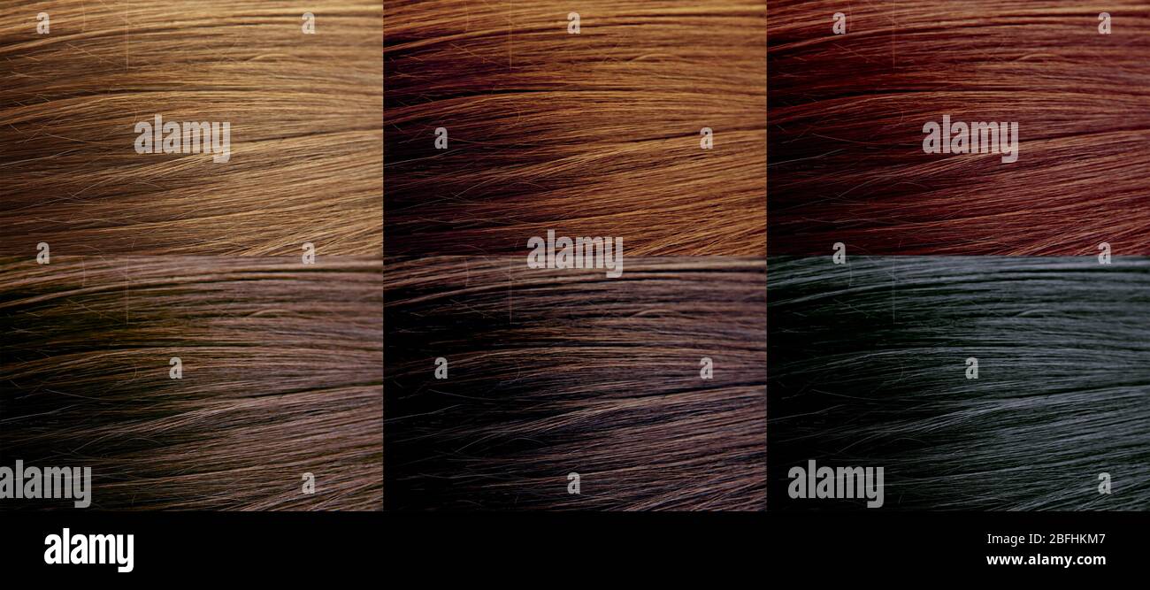 Hair Color Samples Stock Photo - Alamy