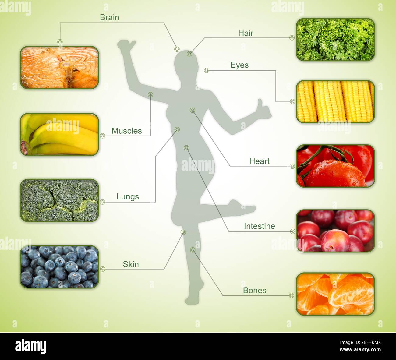Collage of the most useful foods for human Stock Photo - Alamy