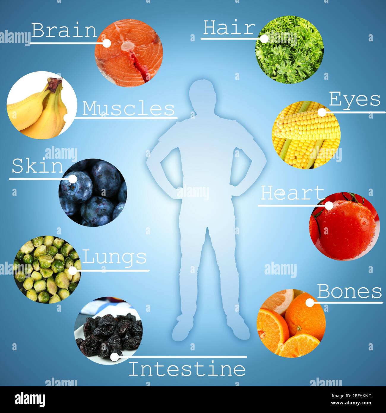 Collage of the most useful foods for human Stock Photo - Alamy