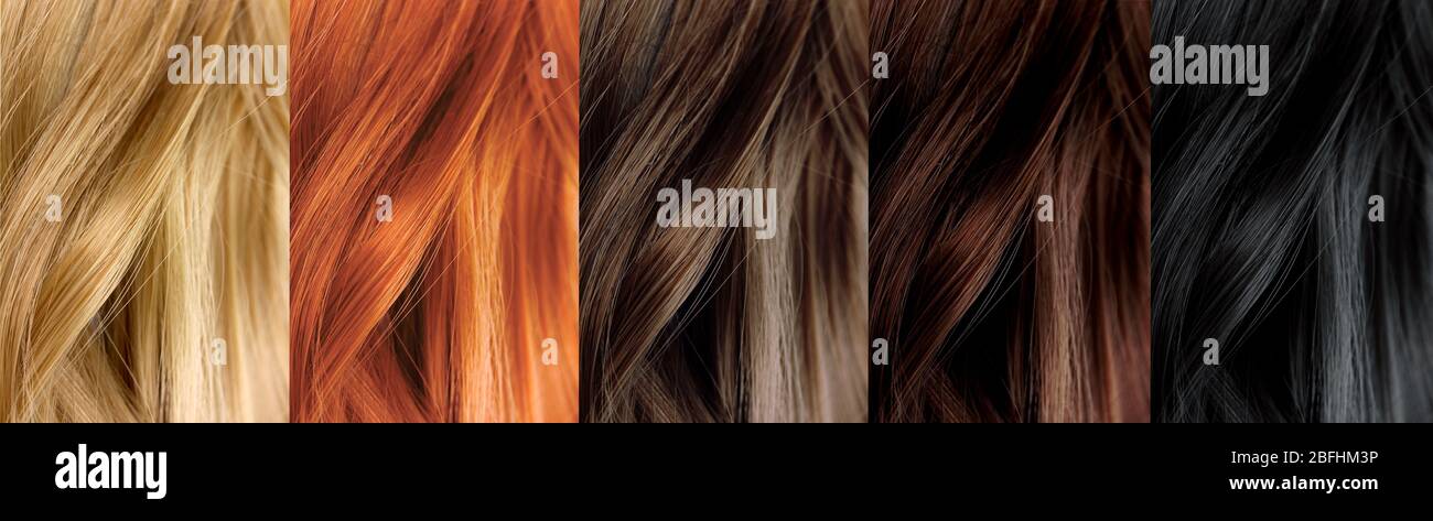 Hair Color Samples Stock Photo - Alamy
