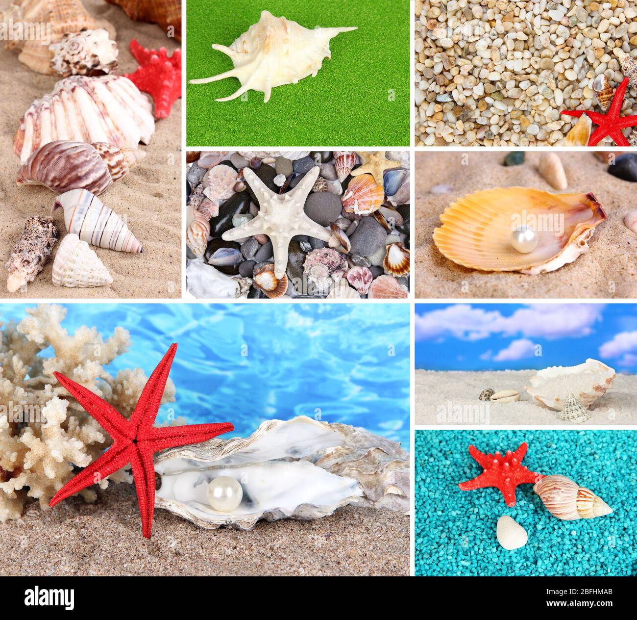 Collage of summer seashells Stock Photo - Alamy
