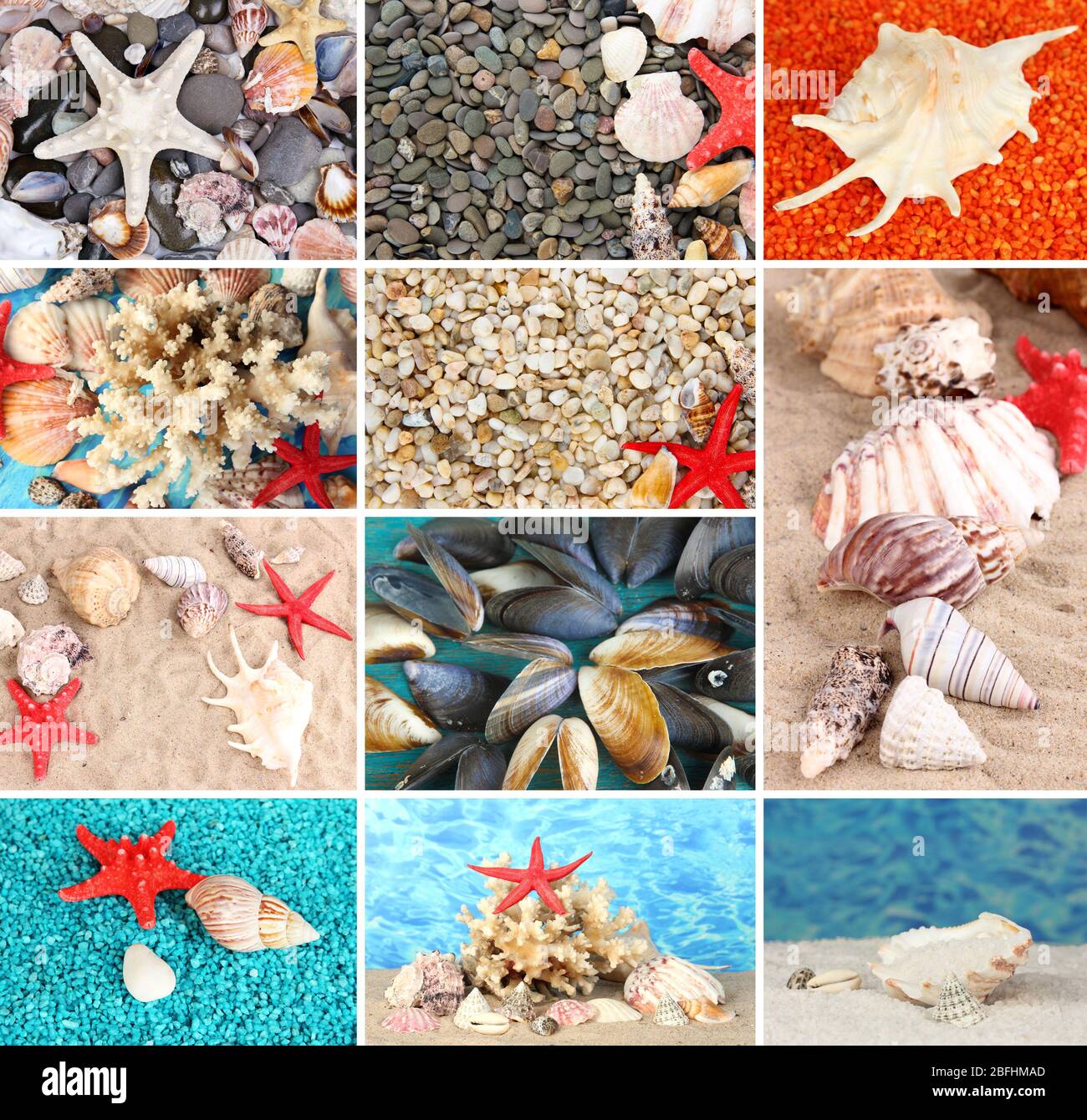 Collage of summer seashells Stock Photo - Alamy