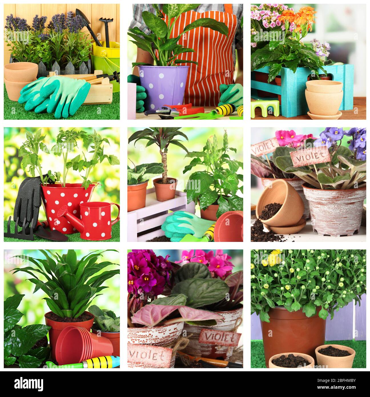 Collage young people bright Cut Out Stock Images & Pictures - Alamy