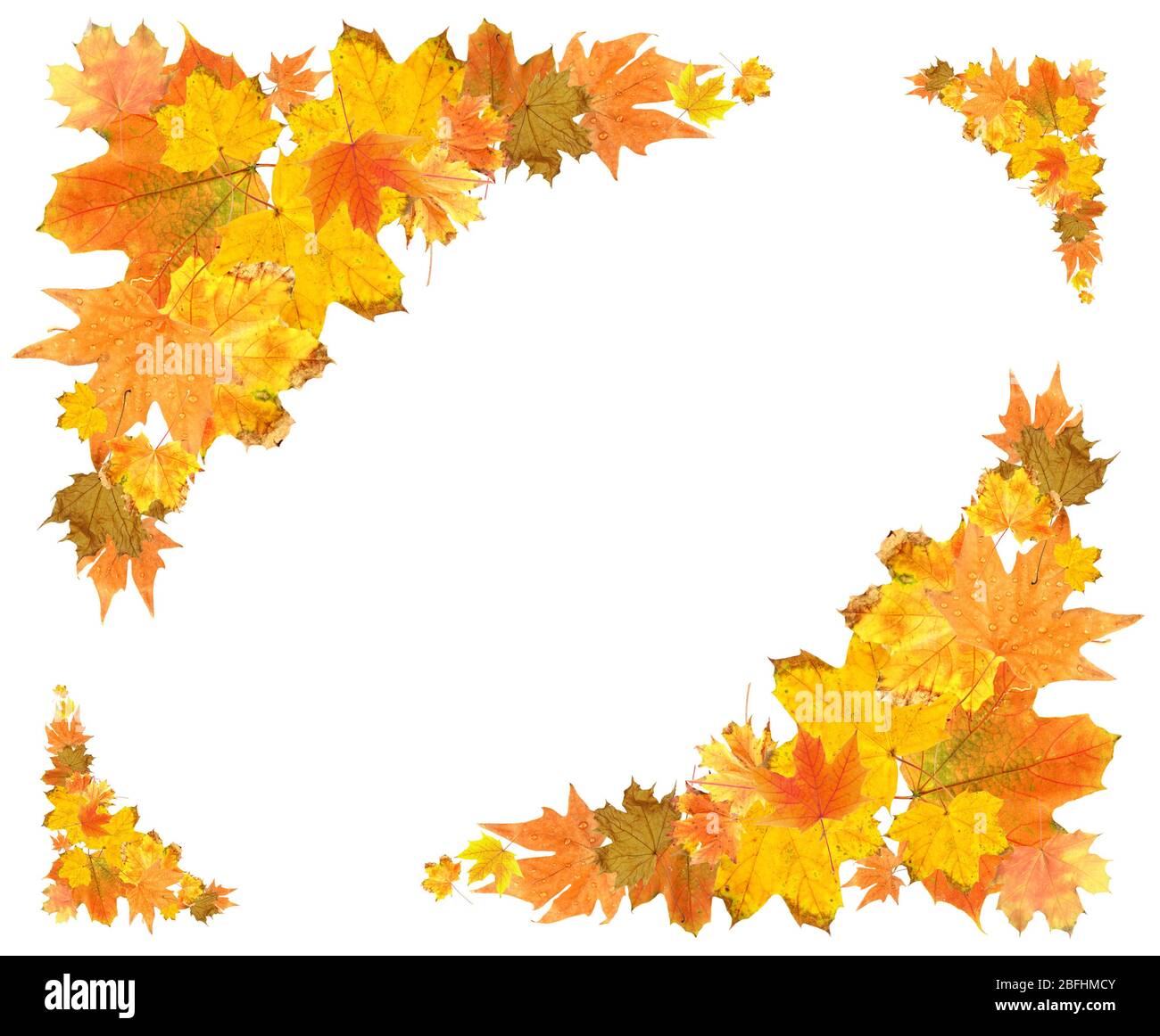 Beautiful colored autumn leaves isolated on white Stock Photo - Alamy