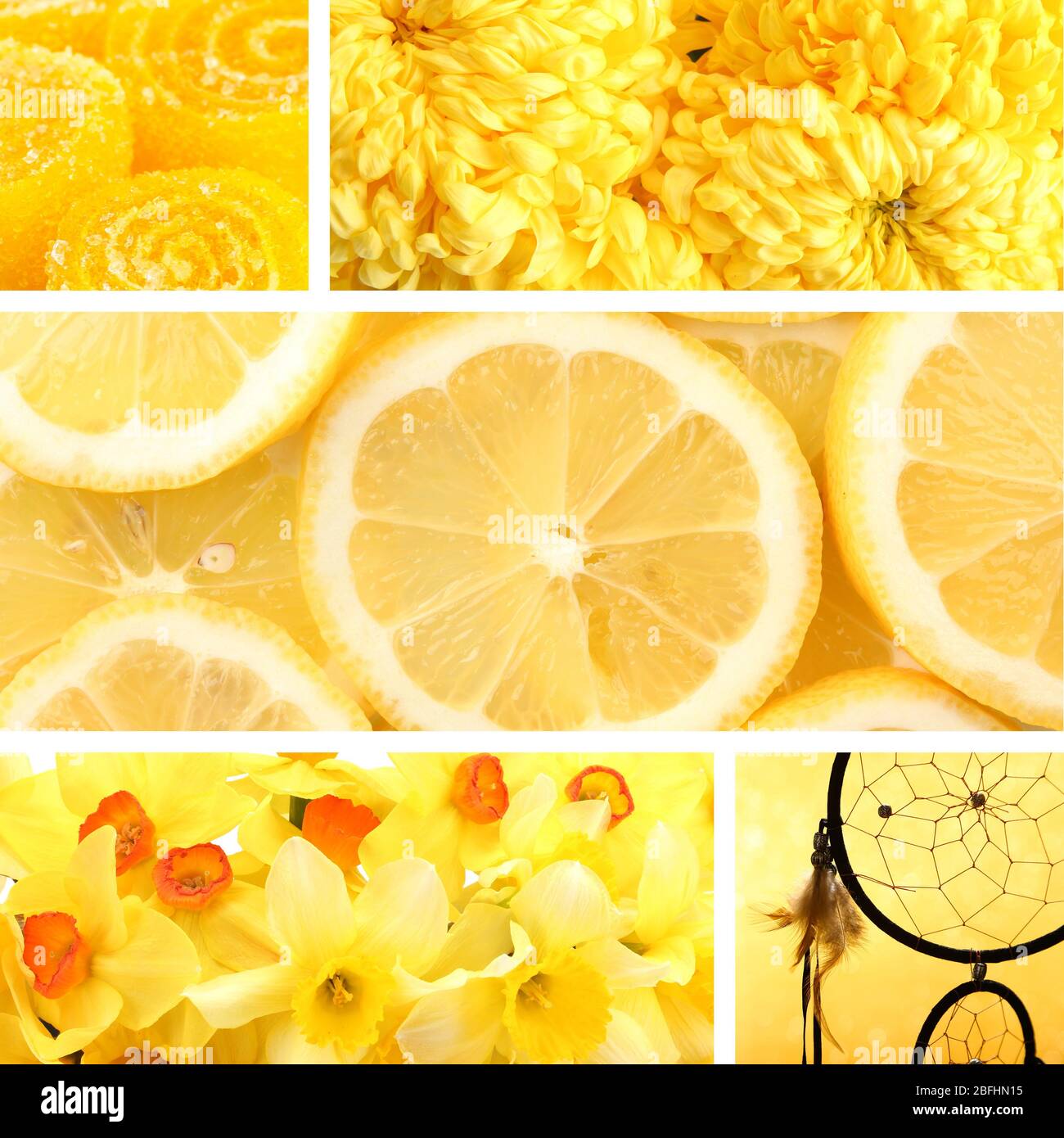 Collage of photos in yellow colors Stock Photo - Alamy