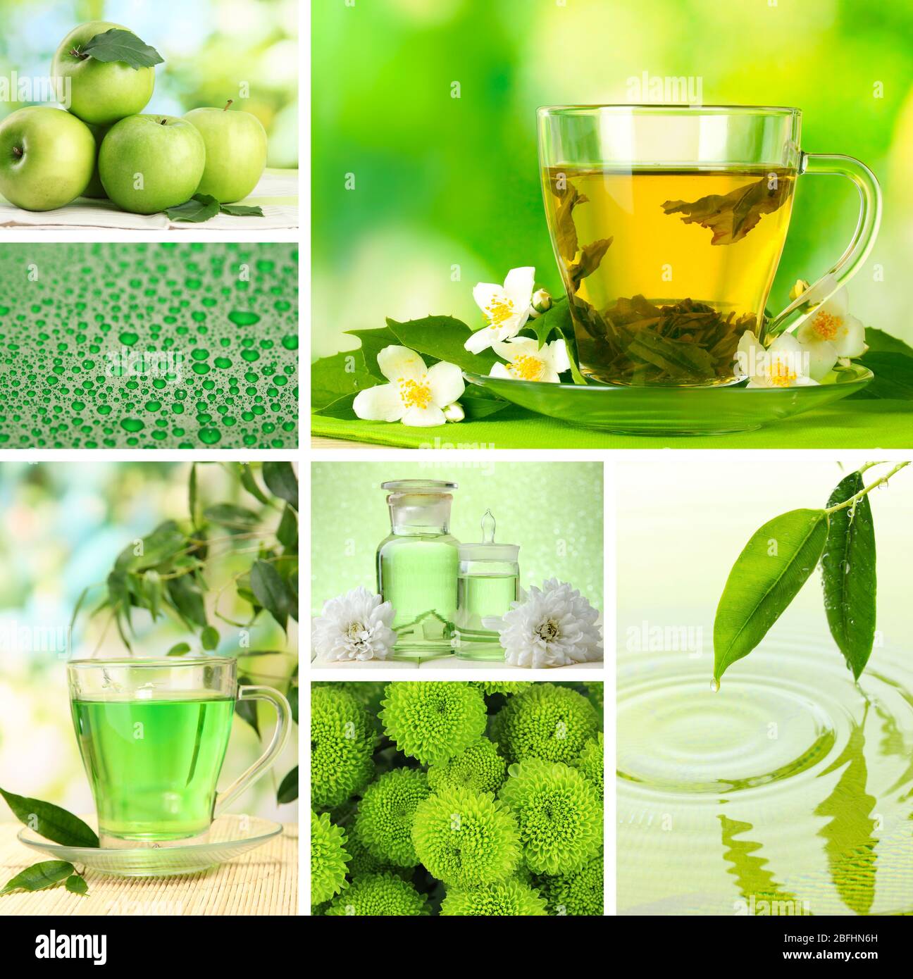 Collage of photos in green colors Stock Photo - Alamy