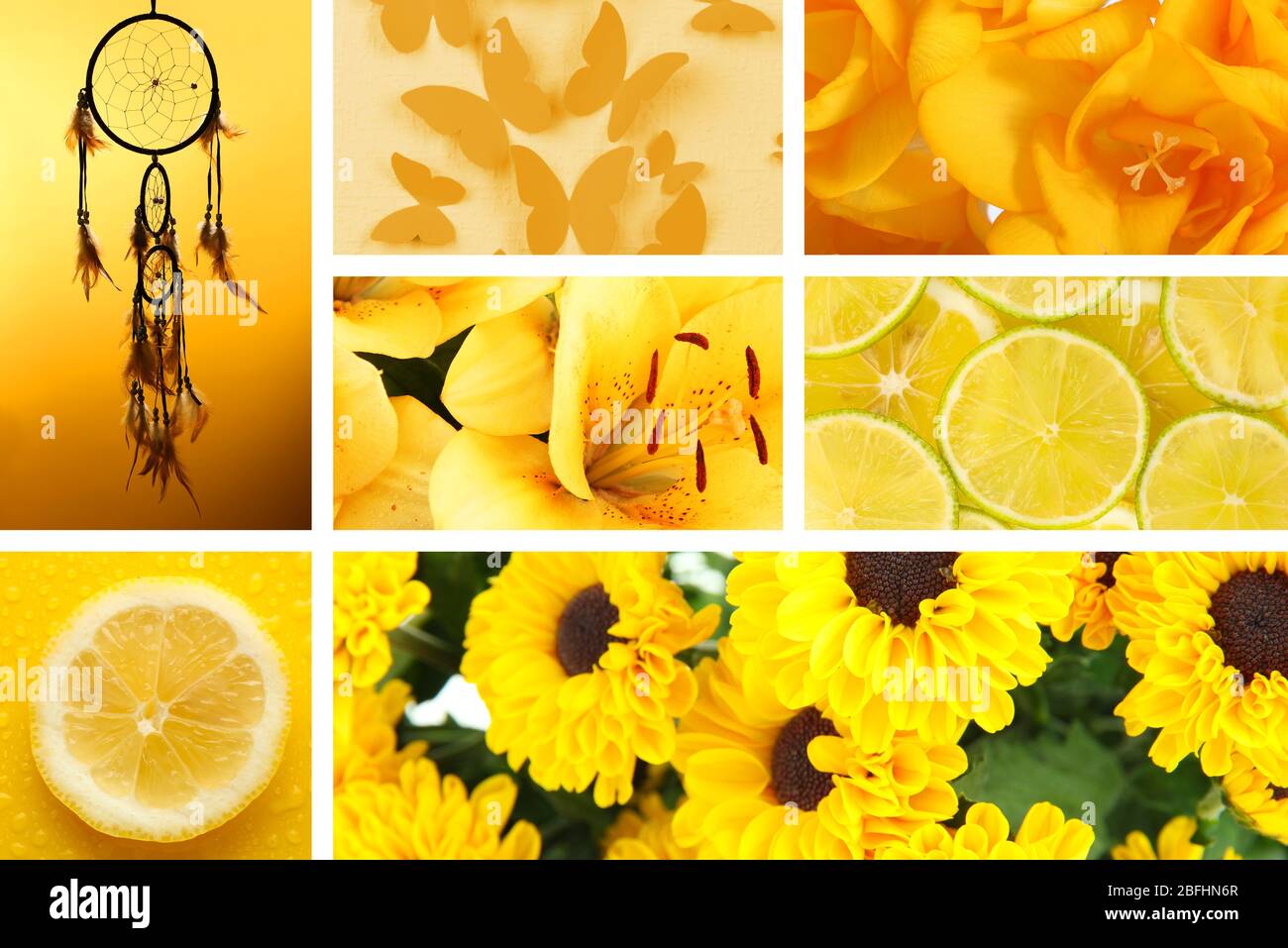 Collage of photos in yellow colors Stock Photo - Alamy