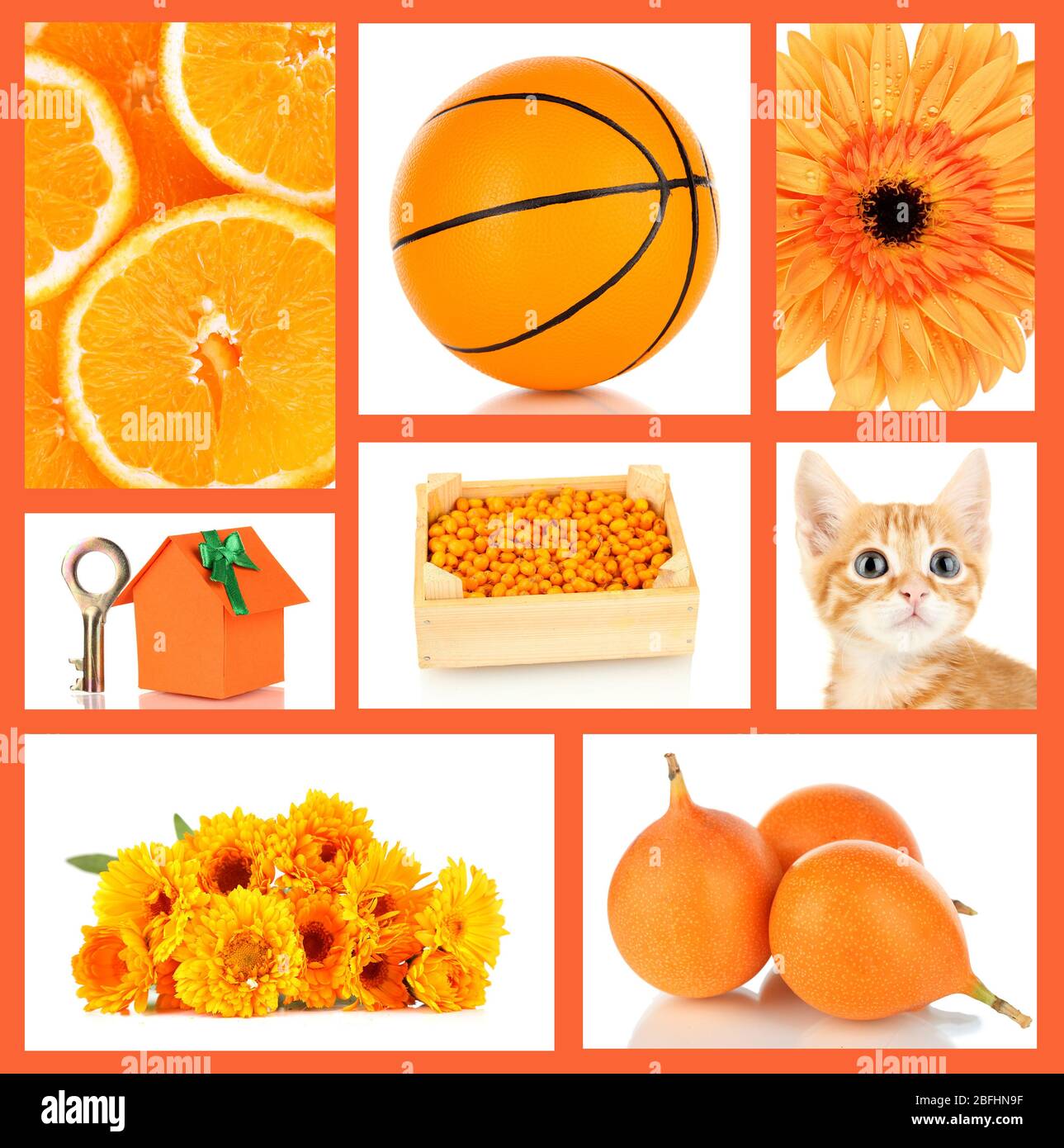 Collage of photos in orange color Stock Photo - Alamy