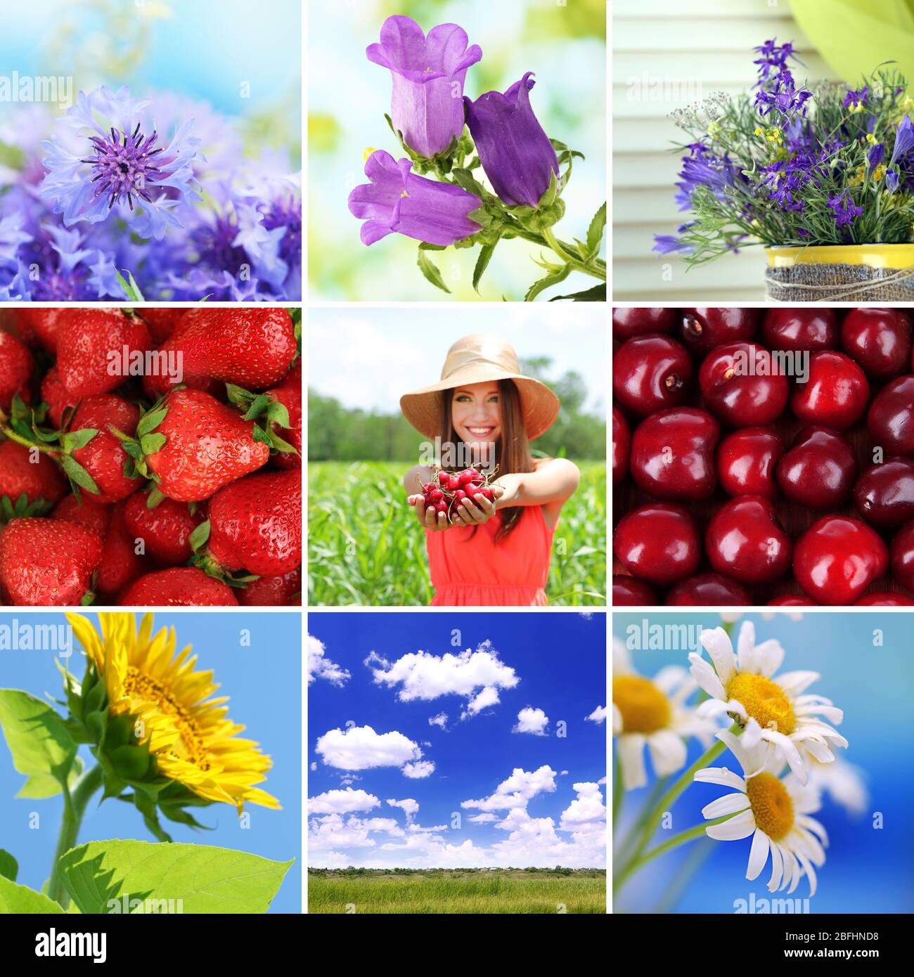 Collage of summer time Stock Photo - Alamy