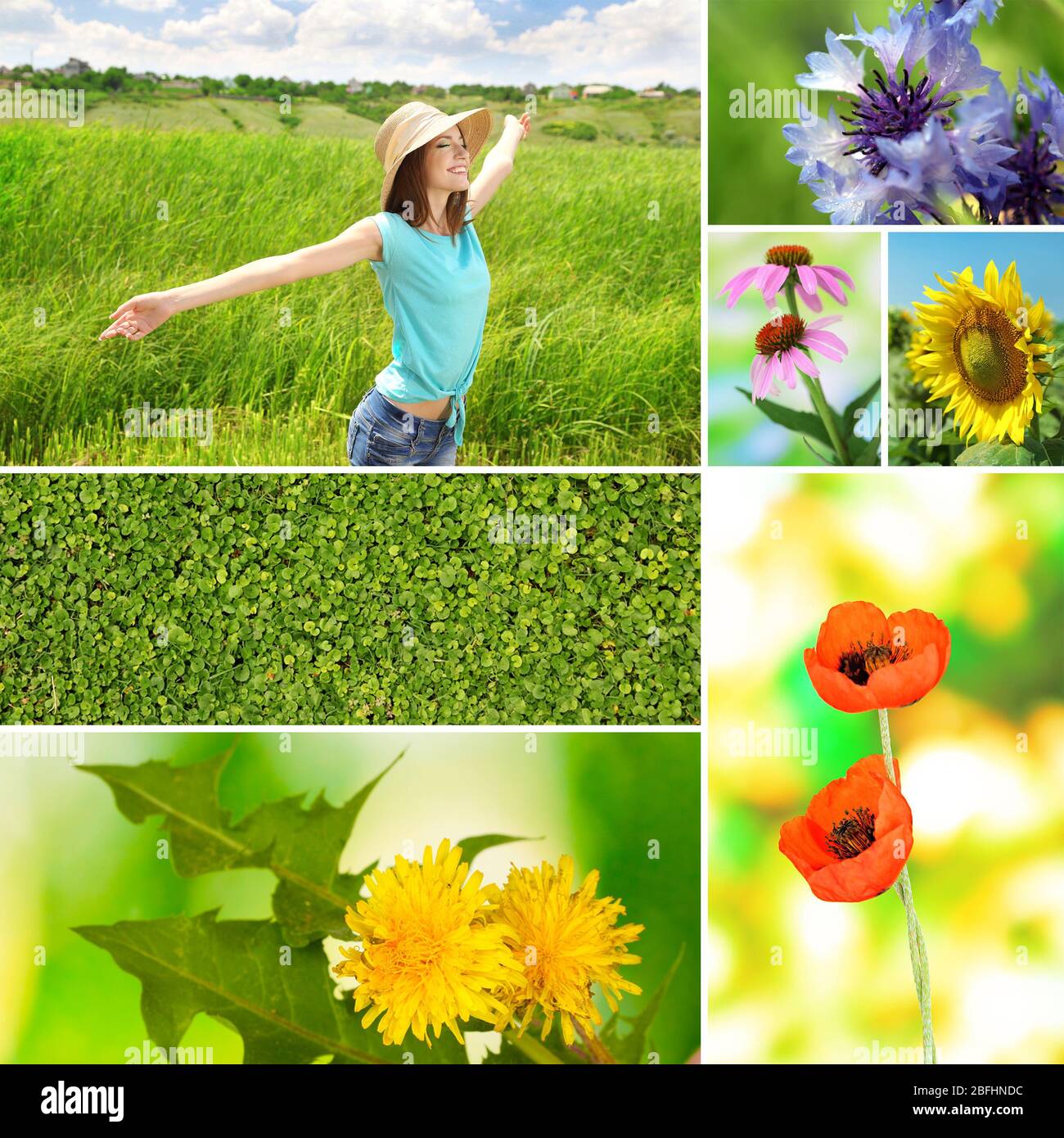 Collage of summer time Stock Photo - Alamy