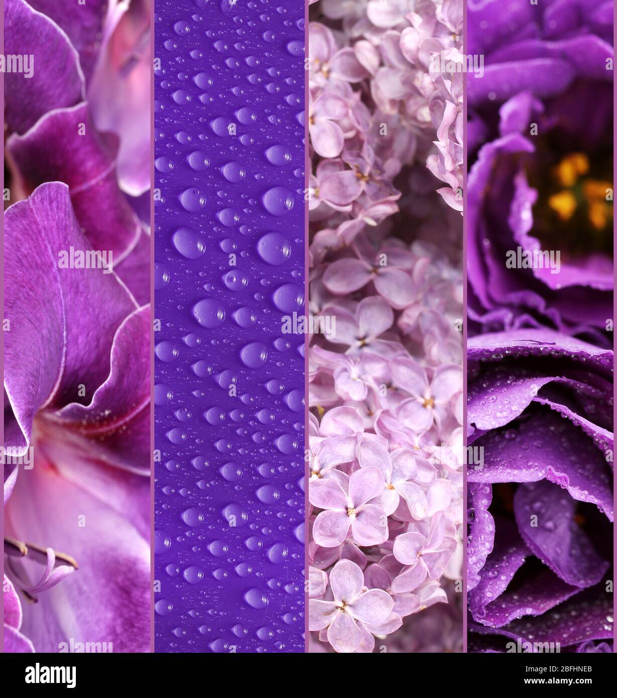 Collage of photos in purple colors Stock Photo - Alamy