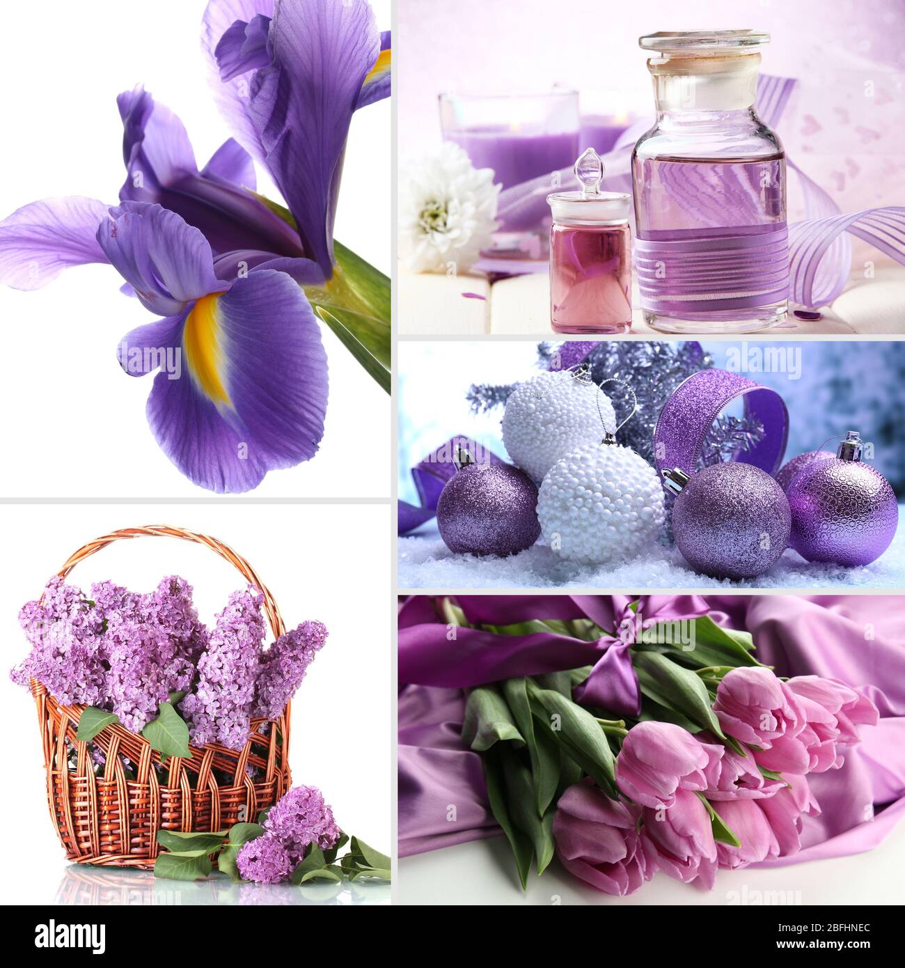 Collage of photos in purple colors Stock Photo - Alamy