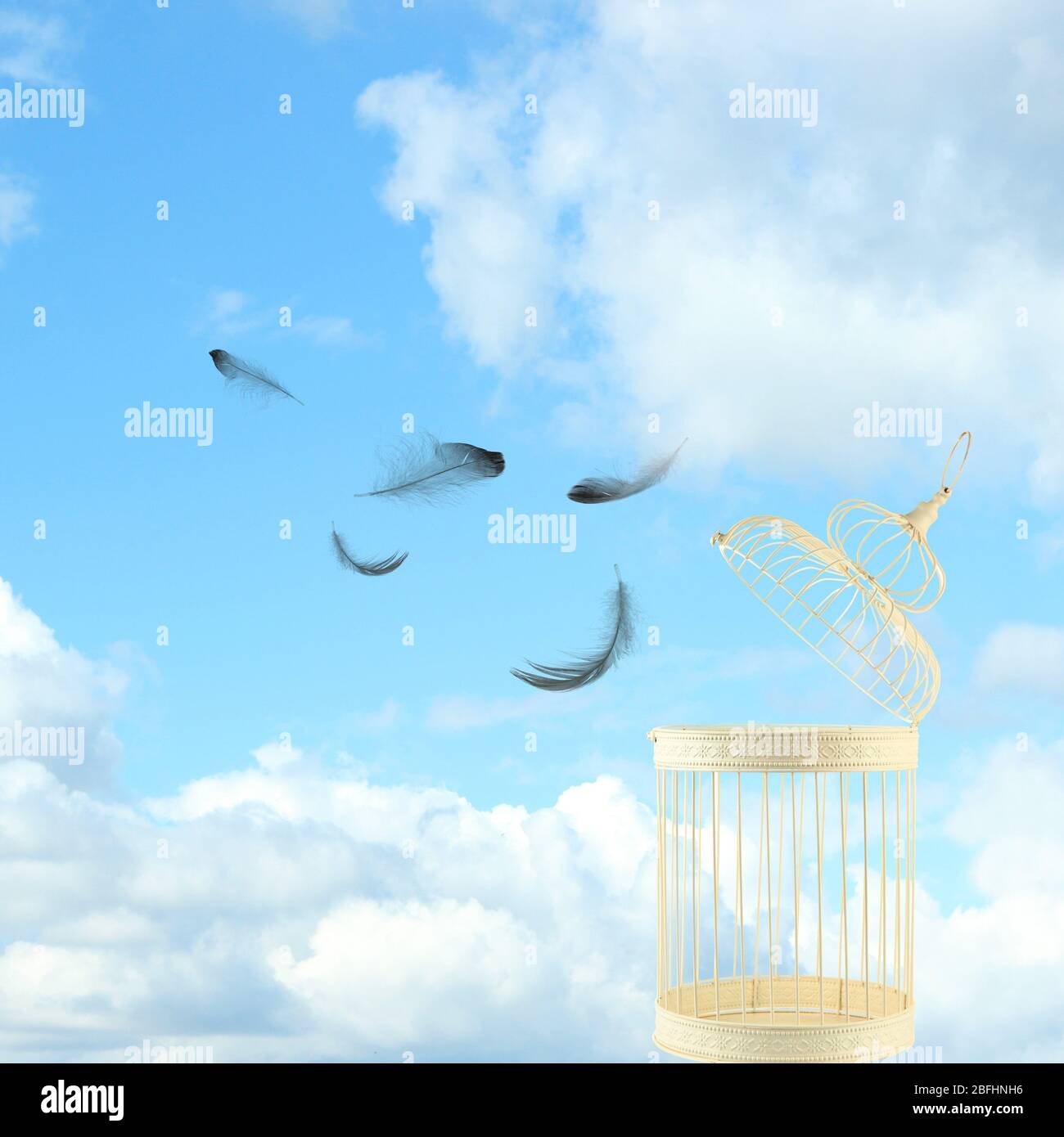 Freedom concept. Escaping from the cage Stock Photo - Alamy