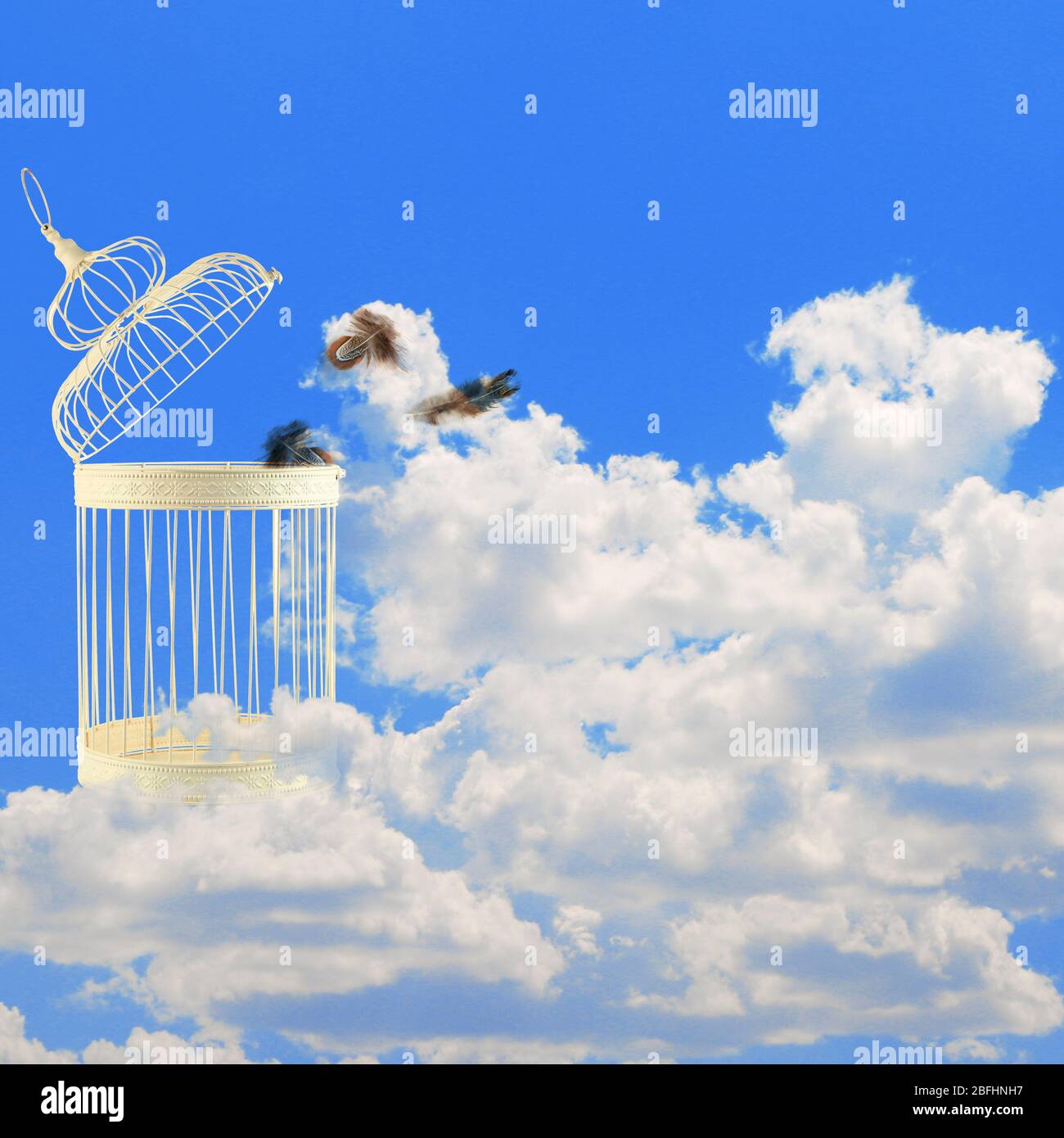 Freedom concept. Escaping from the cage Stock Photo - Alamy
