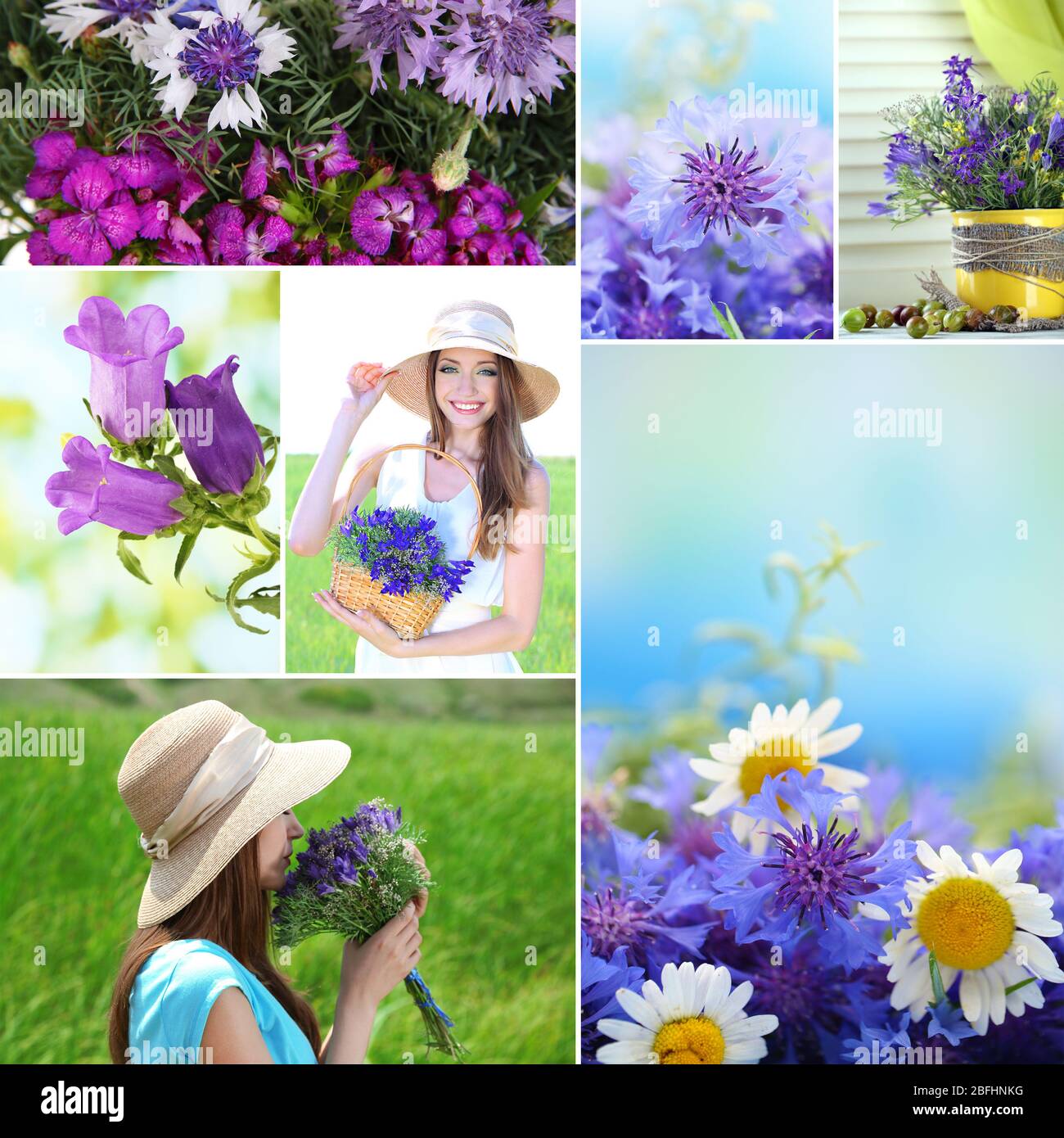 Collage of summer time Stock Photo - Alamy